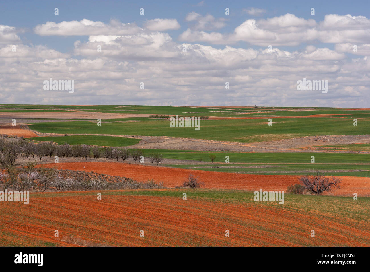 Le rouge et le vert des champs dans La Mancha, Province de Guadalajara ...