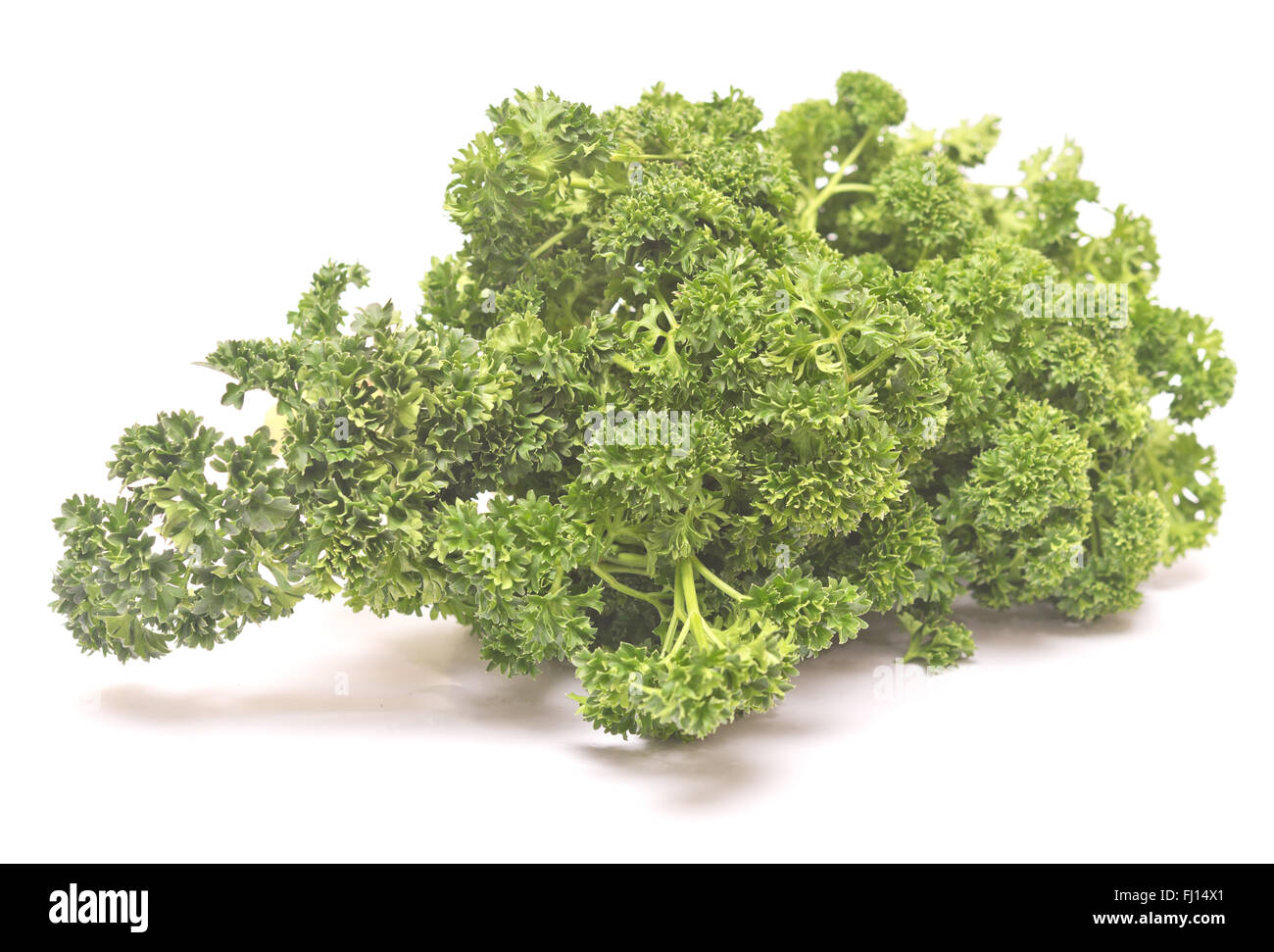 Plantes de persil frais Banque de photographies et d’images à haute ...