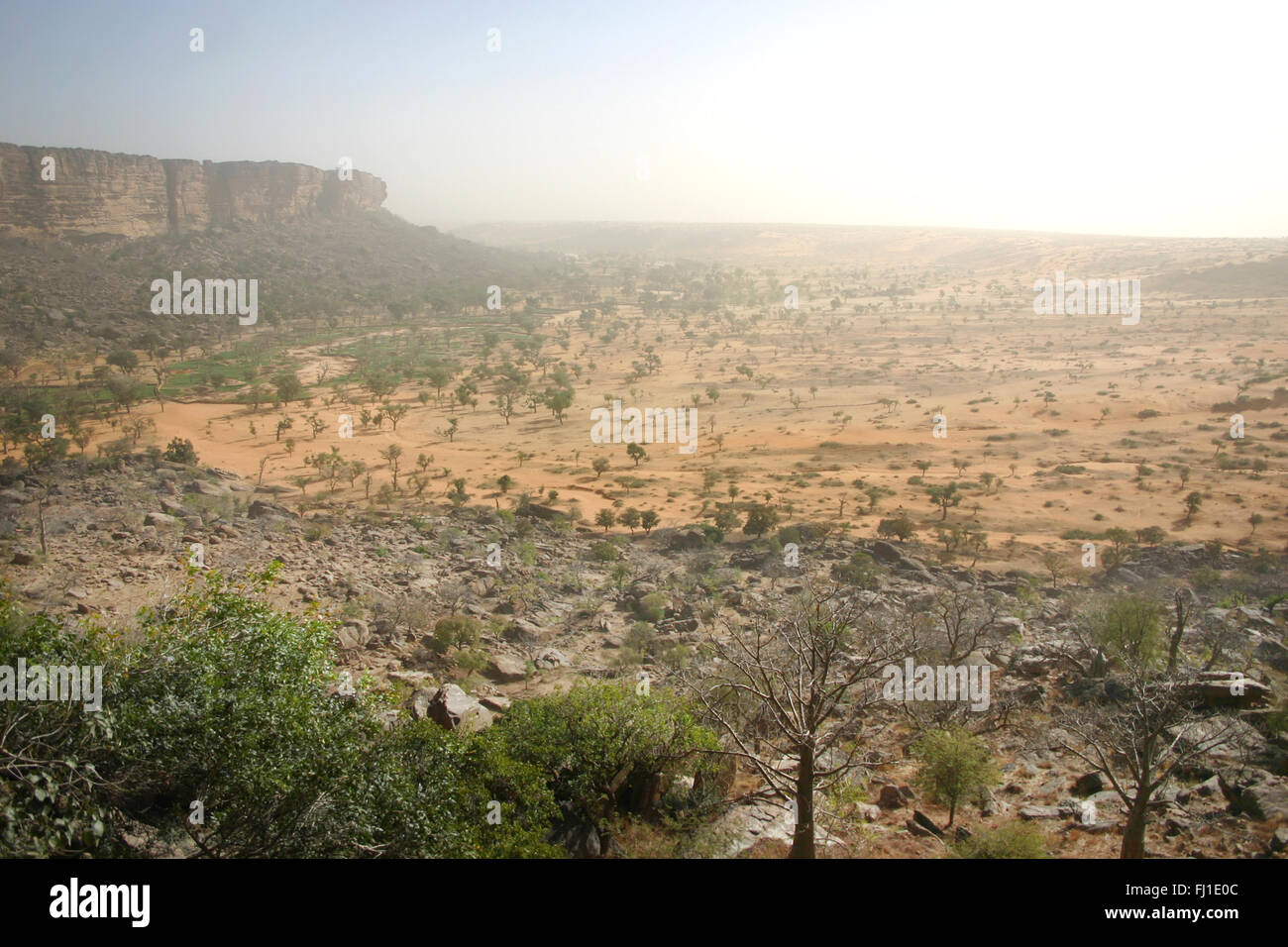 Culture malienne Banque de photographies et d’images à haute résolution ...