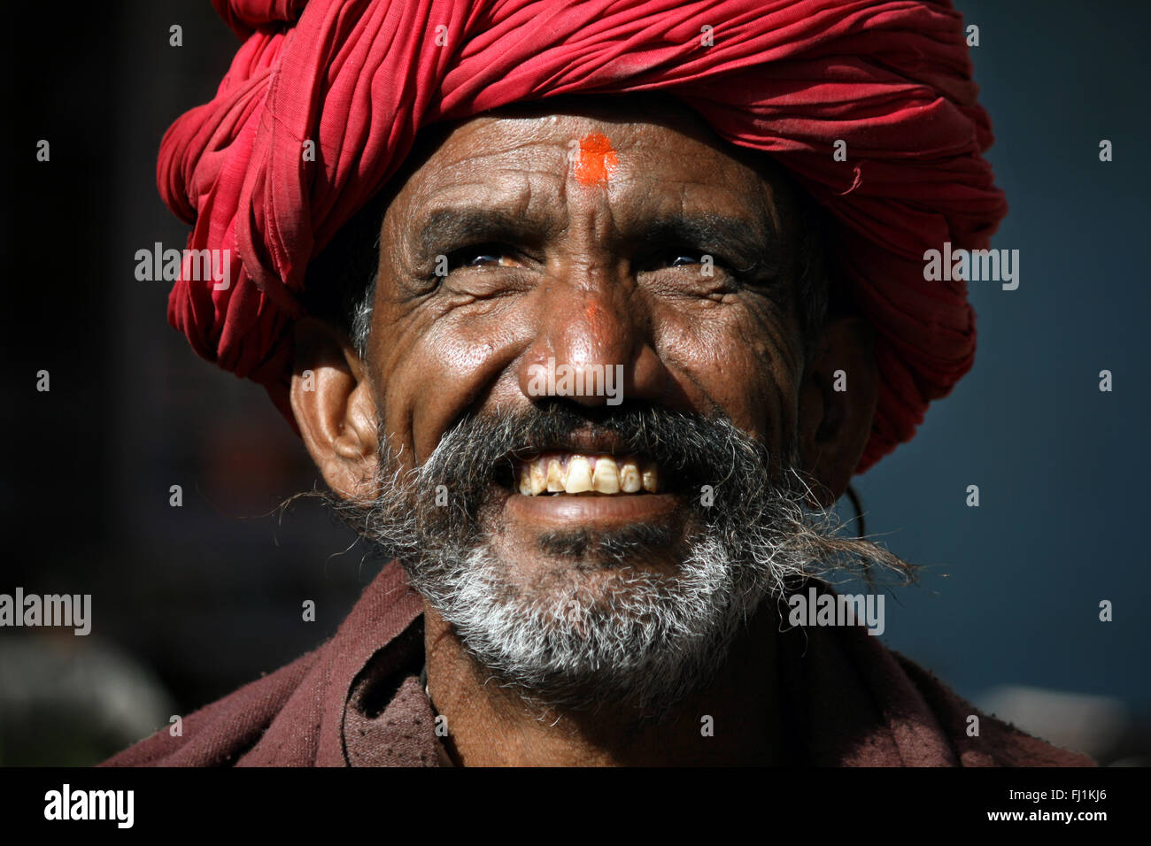 Homme hindou avec tilak Banque de photographies et d’images à haute ...
