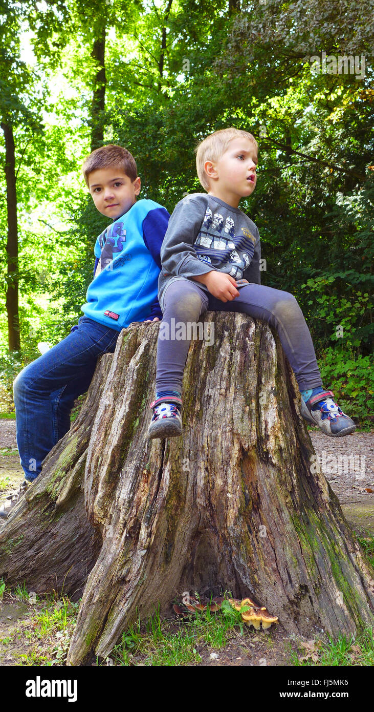 Enfant assis dans un arbre Banque de photographies et d’images à haute ...