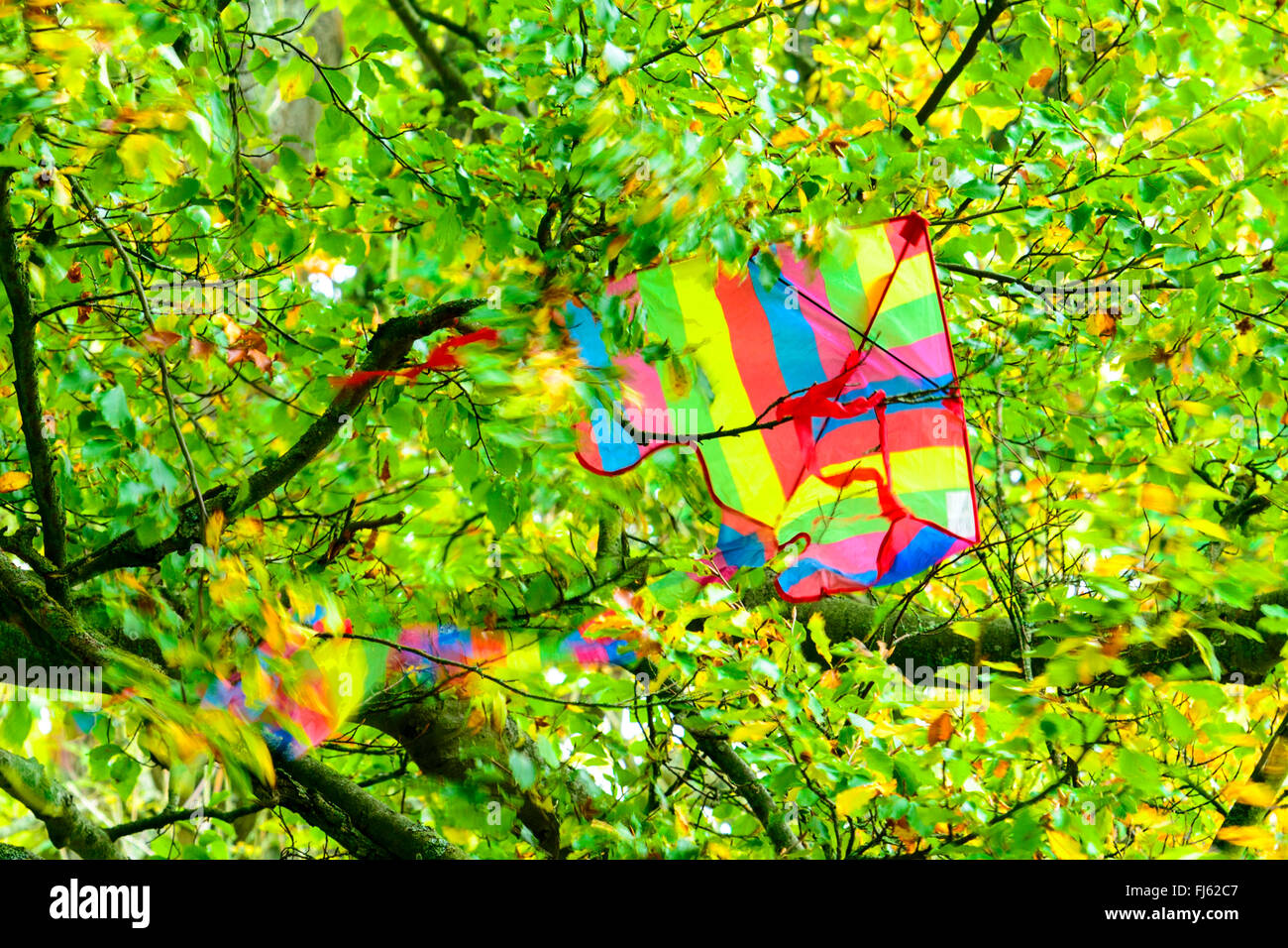 Symbole de cerf volant Banque de photographies et d’images à haute ...