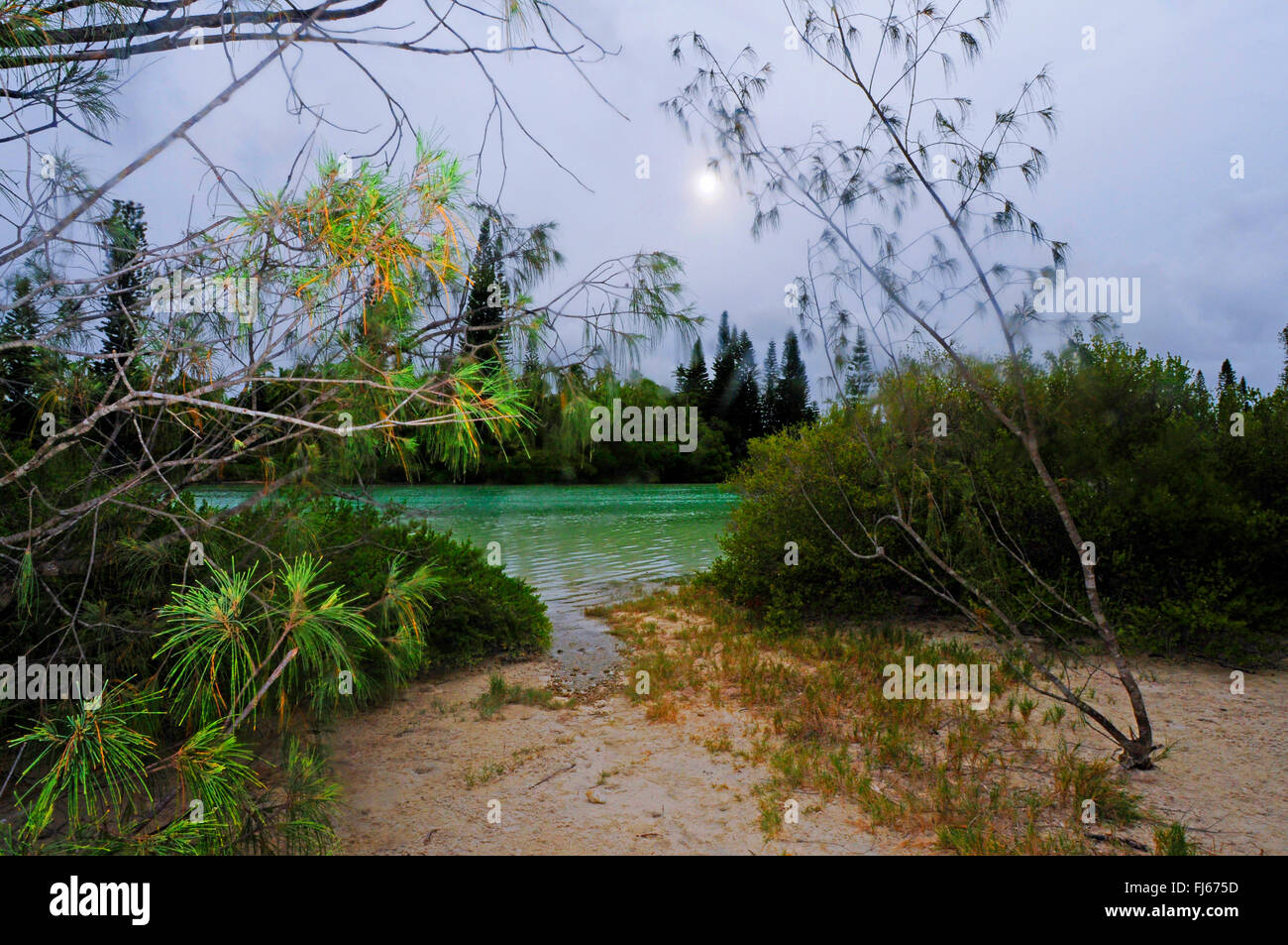 Mangroves de nouvelle calédonie Banque de photographies et d’images à ...