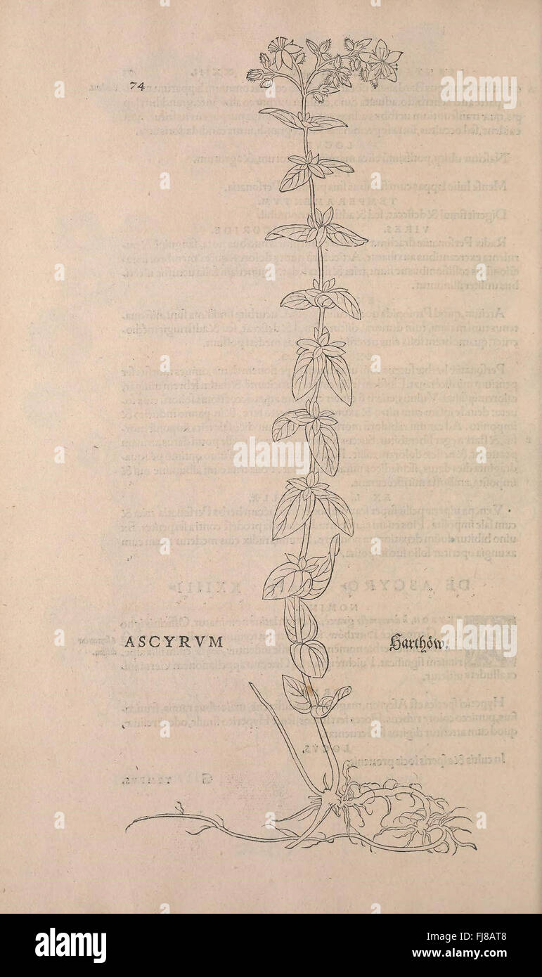 Un important travail botanique du début des années 1800, axé sur les ...
