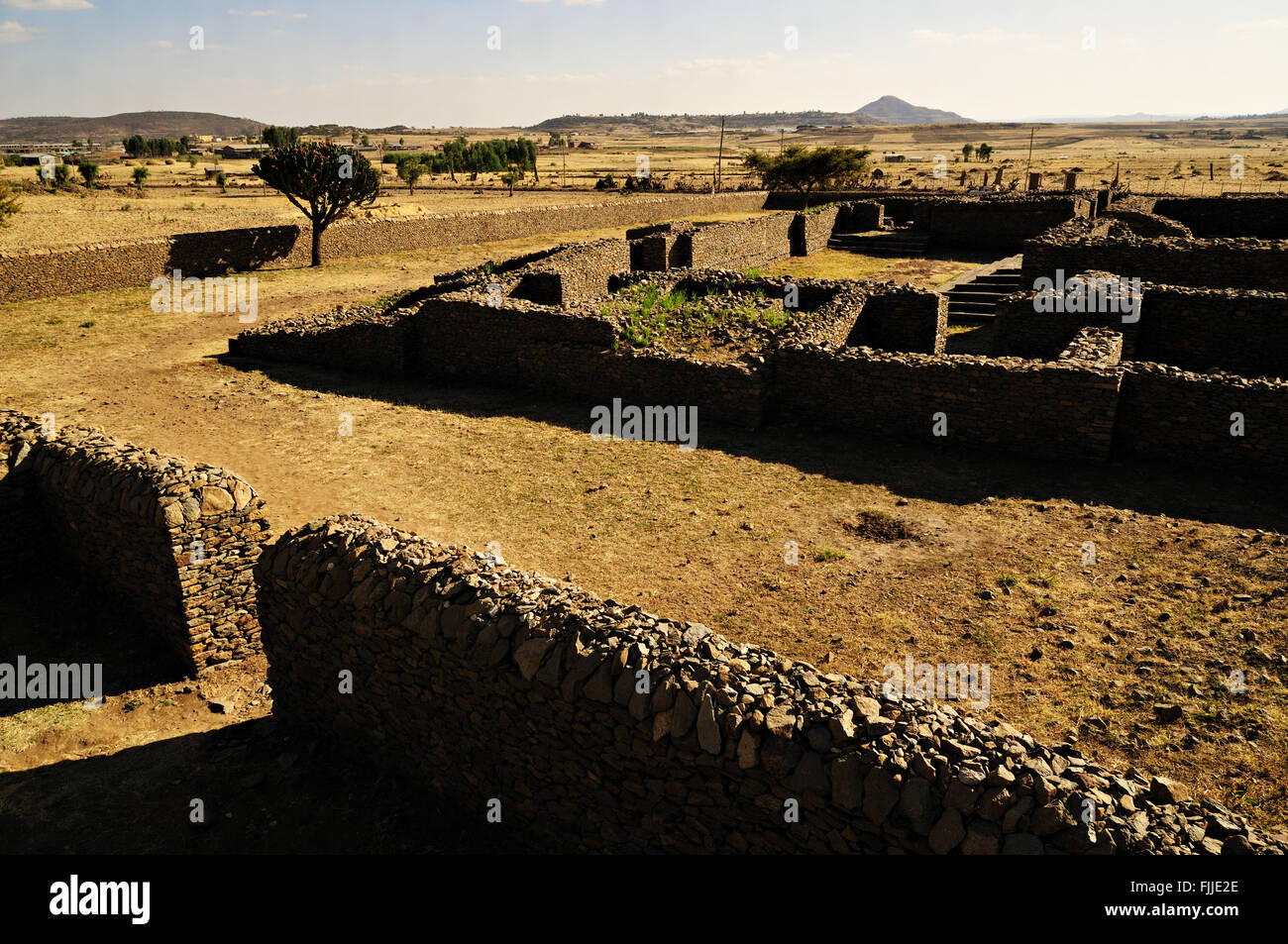 Axum ethiopia archeology Banque de photographies et d’images à haute ...