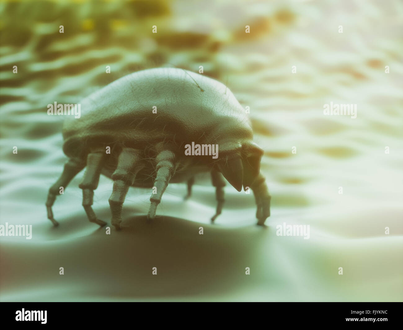 Allergie aux acariens Banque de photographies et d’images à haute ...