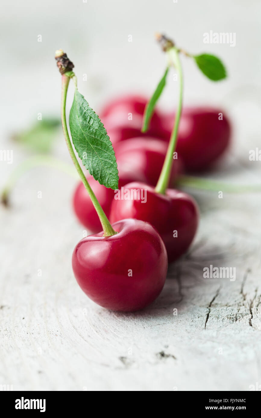 Feuille de cerise aigre Banque de photographies et d’images à haute ...
