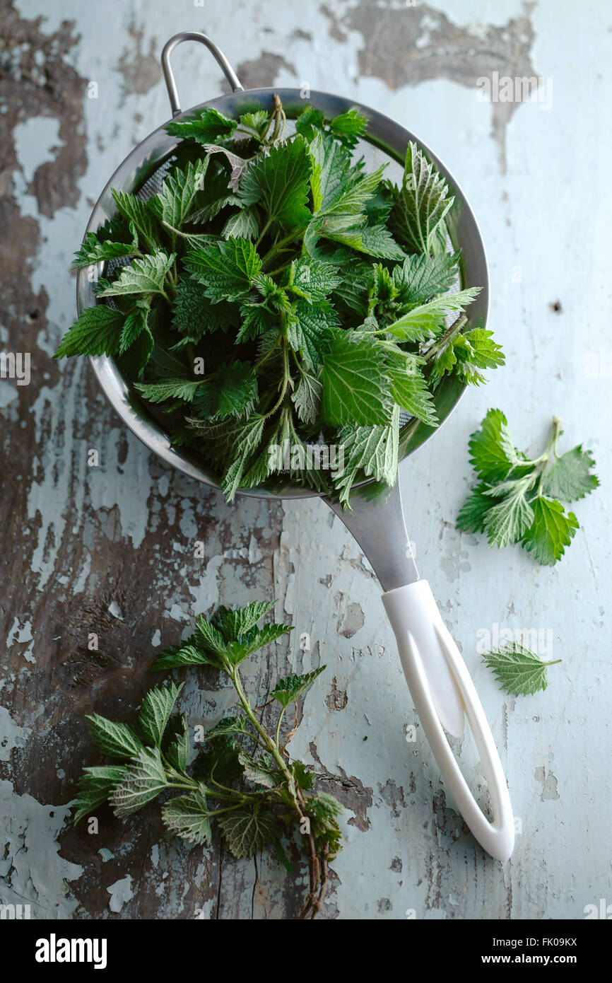 Feuilles d'ortie Banque de photographies et d’images à haute résolution ...