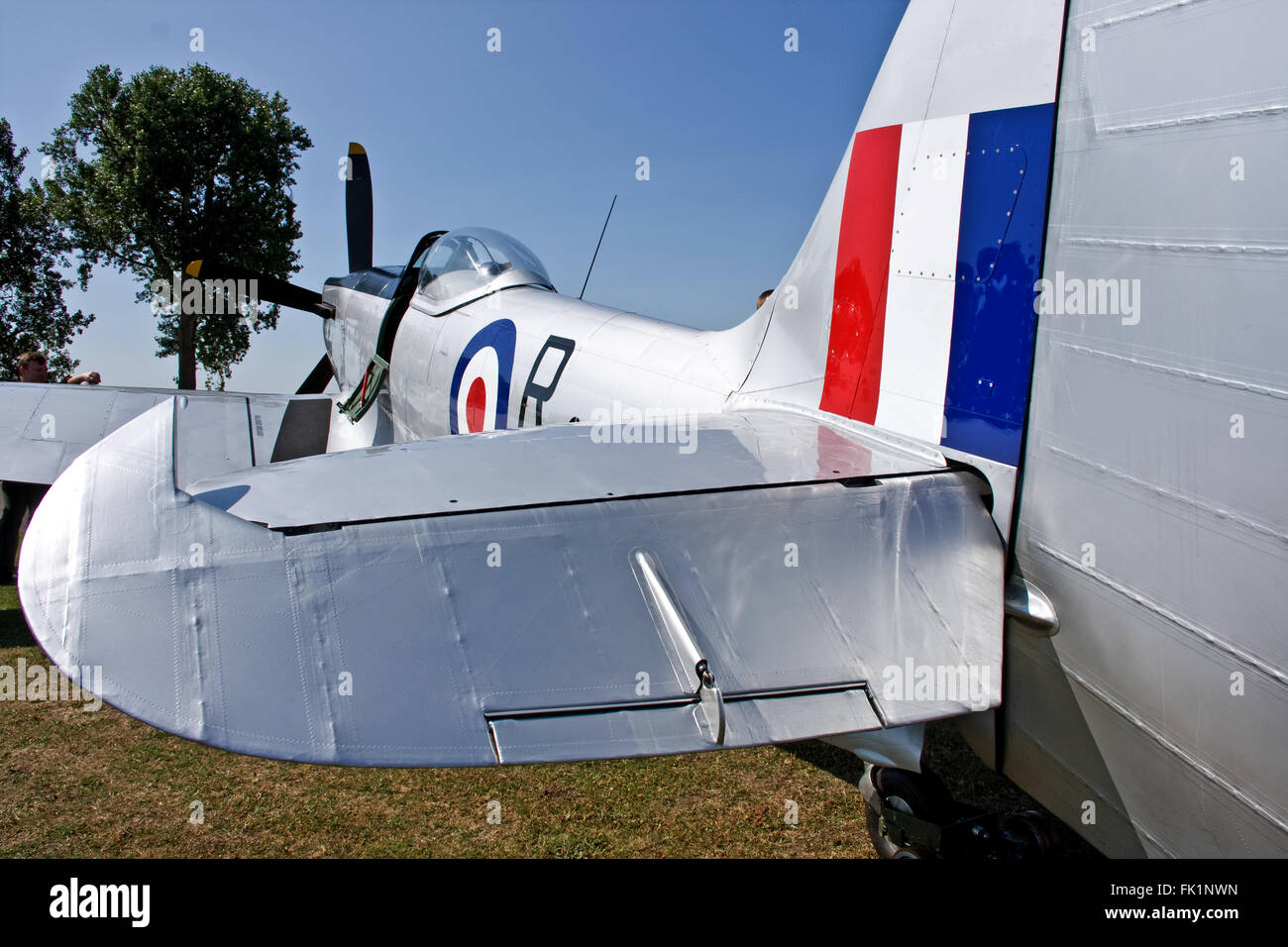 Griffon spitfire Banque de photographies et d’images à haute résolution ...