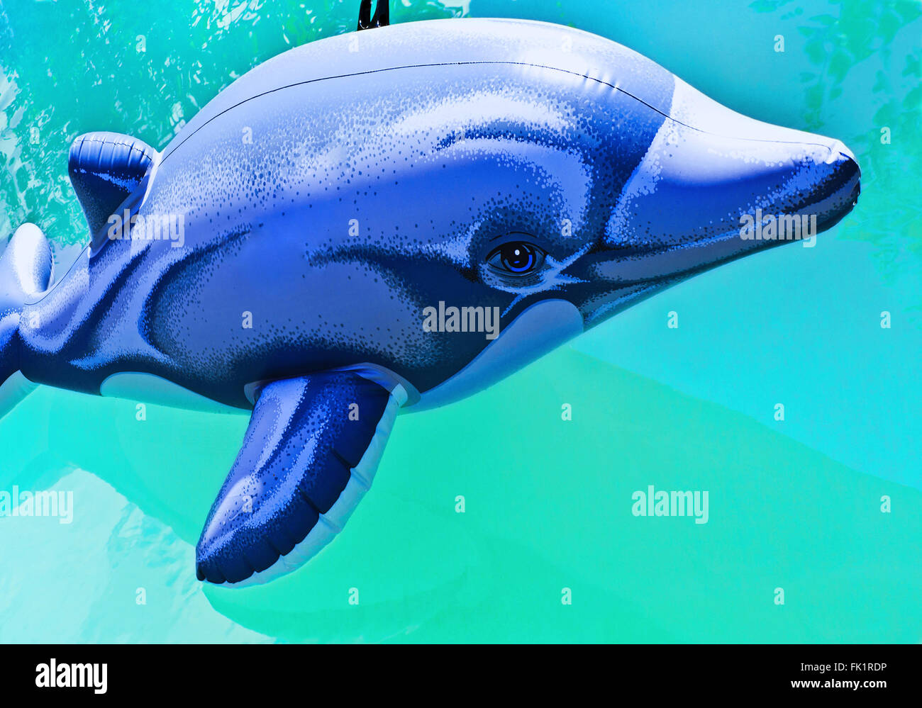 Inflatable dolphin beach toy Banque de photographies et d’images à ...