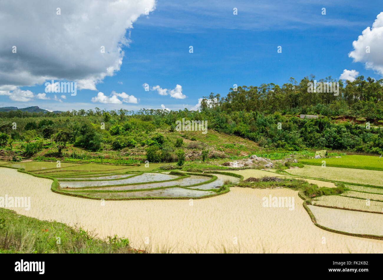 Saison des pluies à madagascar Banque de photographies et d’images à ...