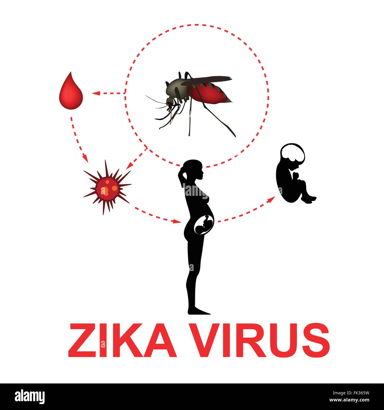 Zika virus warning sign vector Banque de photographies et d’images à ...