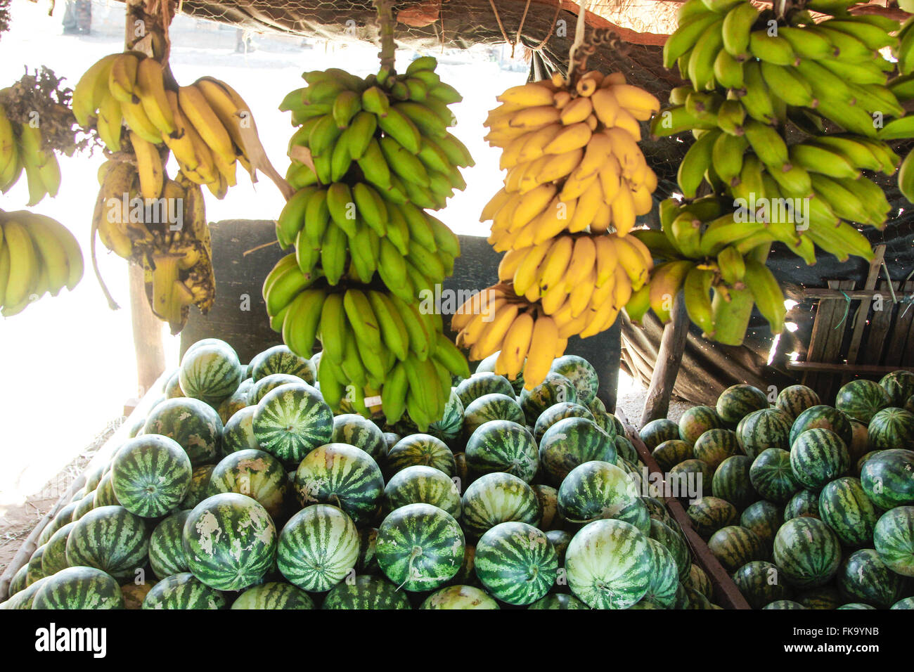 Pile of bananas Banque de photographies et d’images à haute résolution ...
