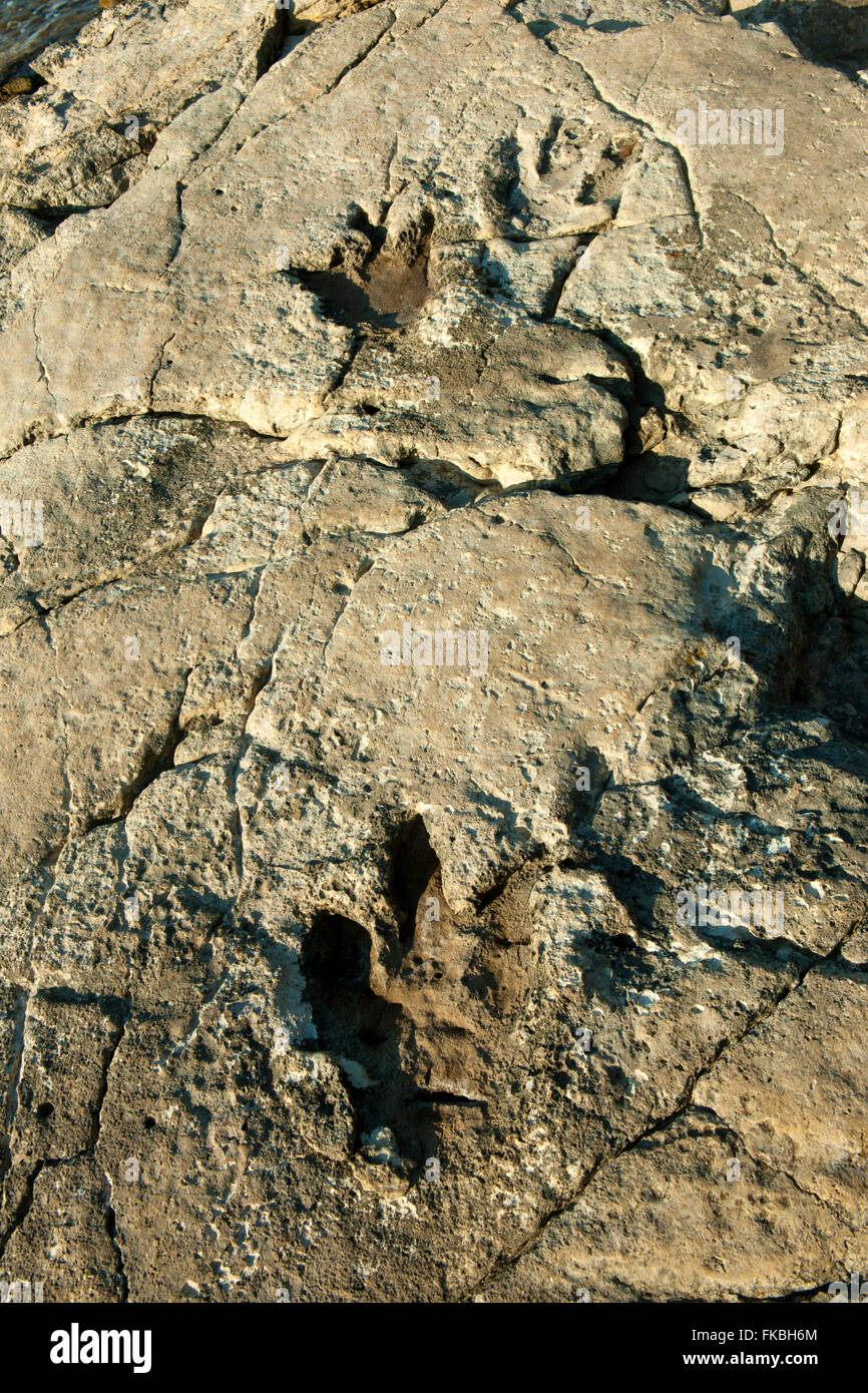 Kroatien, Istrien, Insel im Nationalpark Brijuni Veli vor Brijuni ...