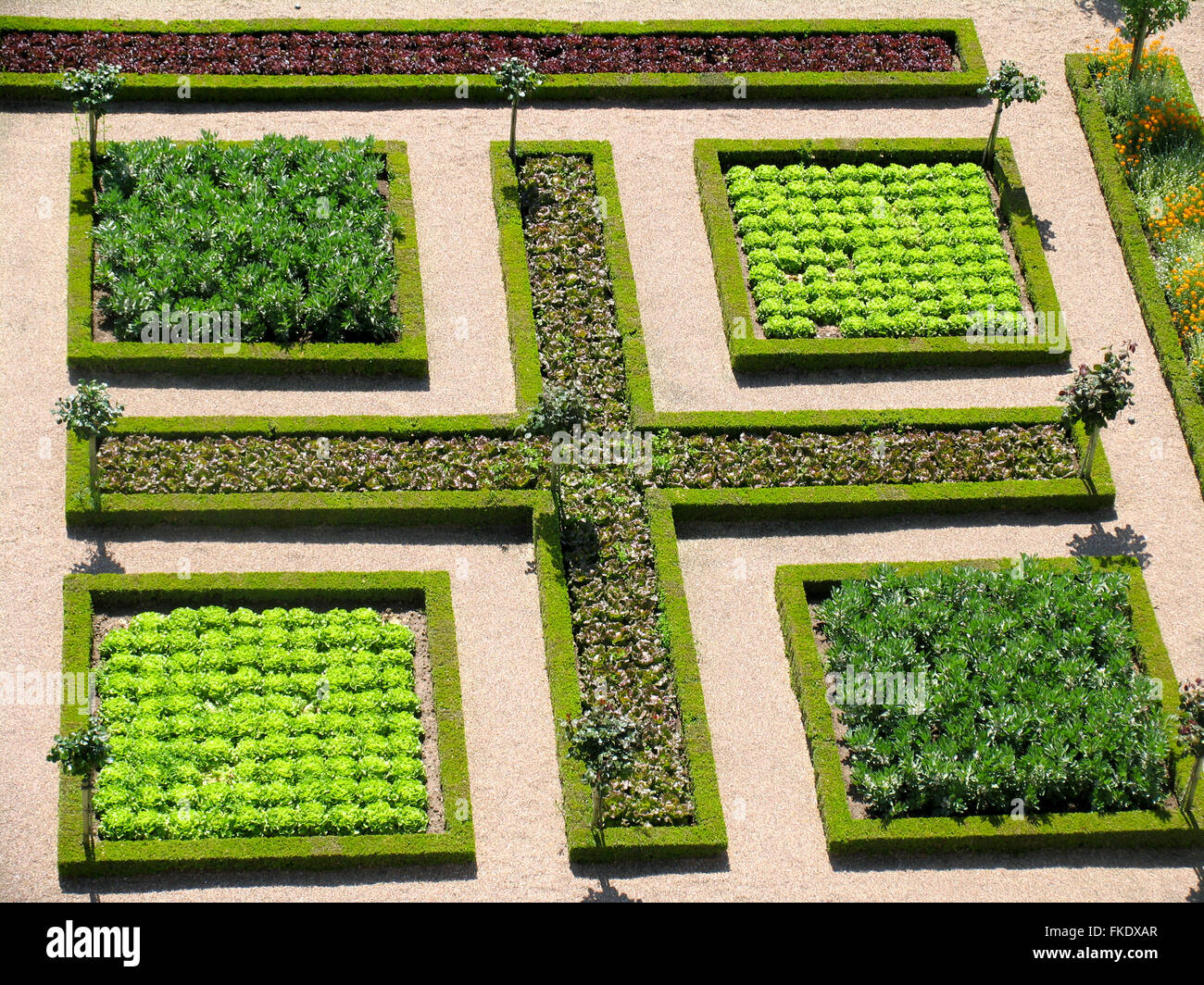 Potager fleuri au Château de Villandry Photo Stock - Alamy