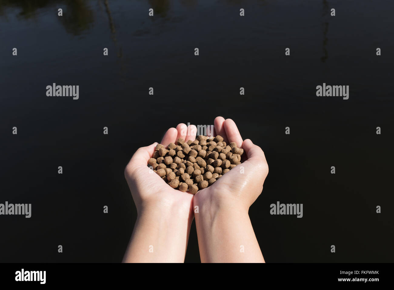 Aliments pour poissons d'aquarium Banque de photographies et d’images à ...
