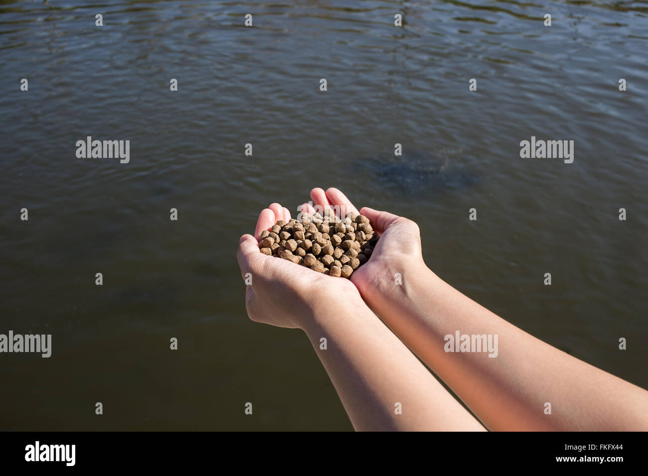 Aliments pour poissons d'aquarium Banque de photographies et d’images à ...