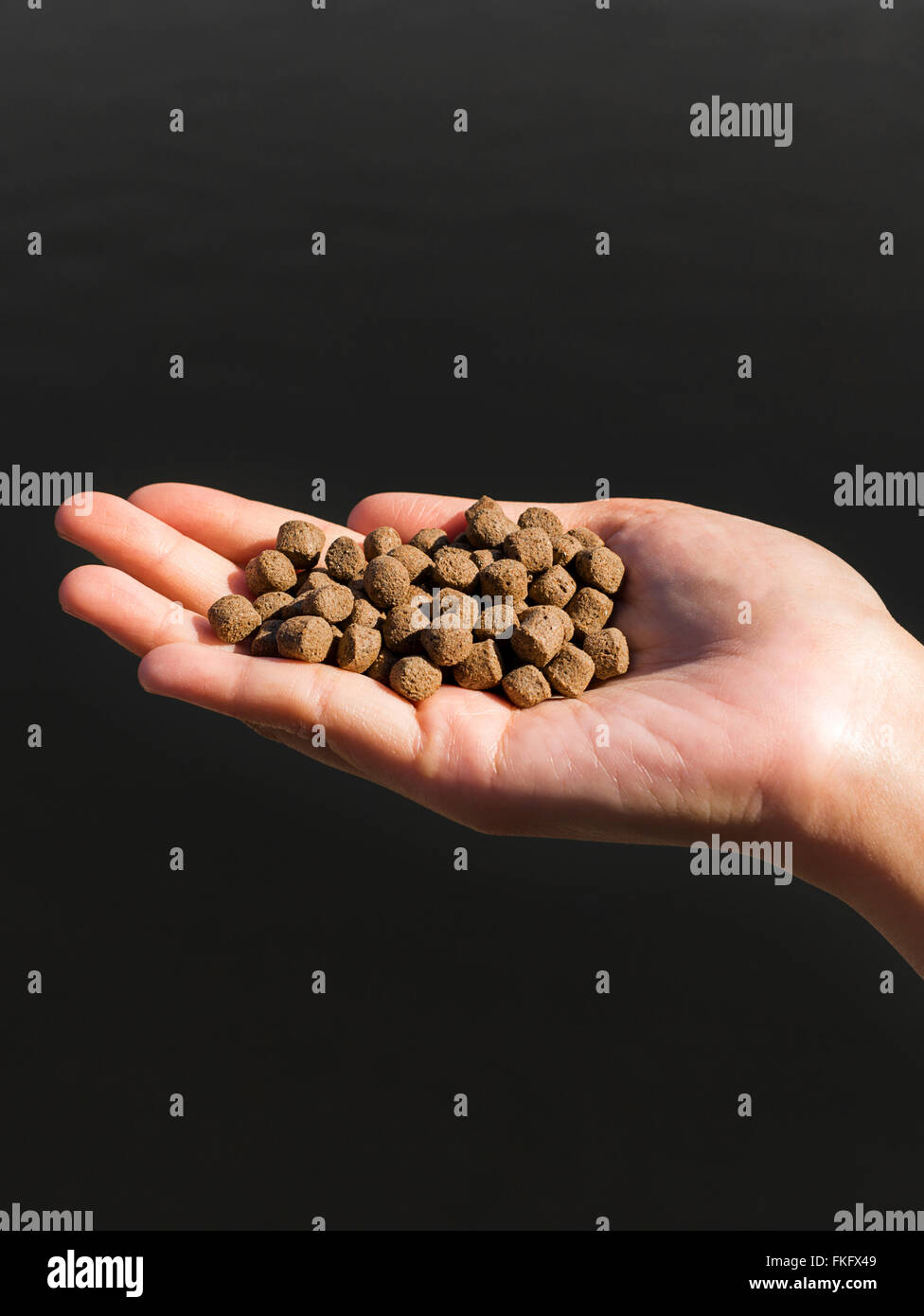 Aliments pour poissons d'aquarium Banque de photographies et d’images à ...