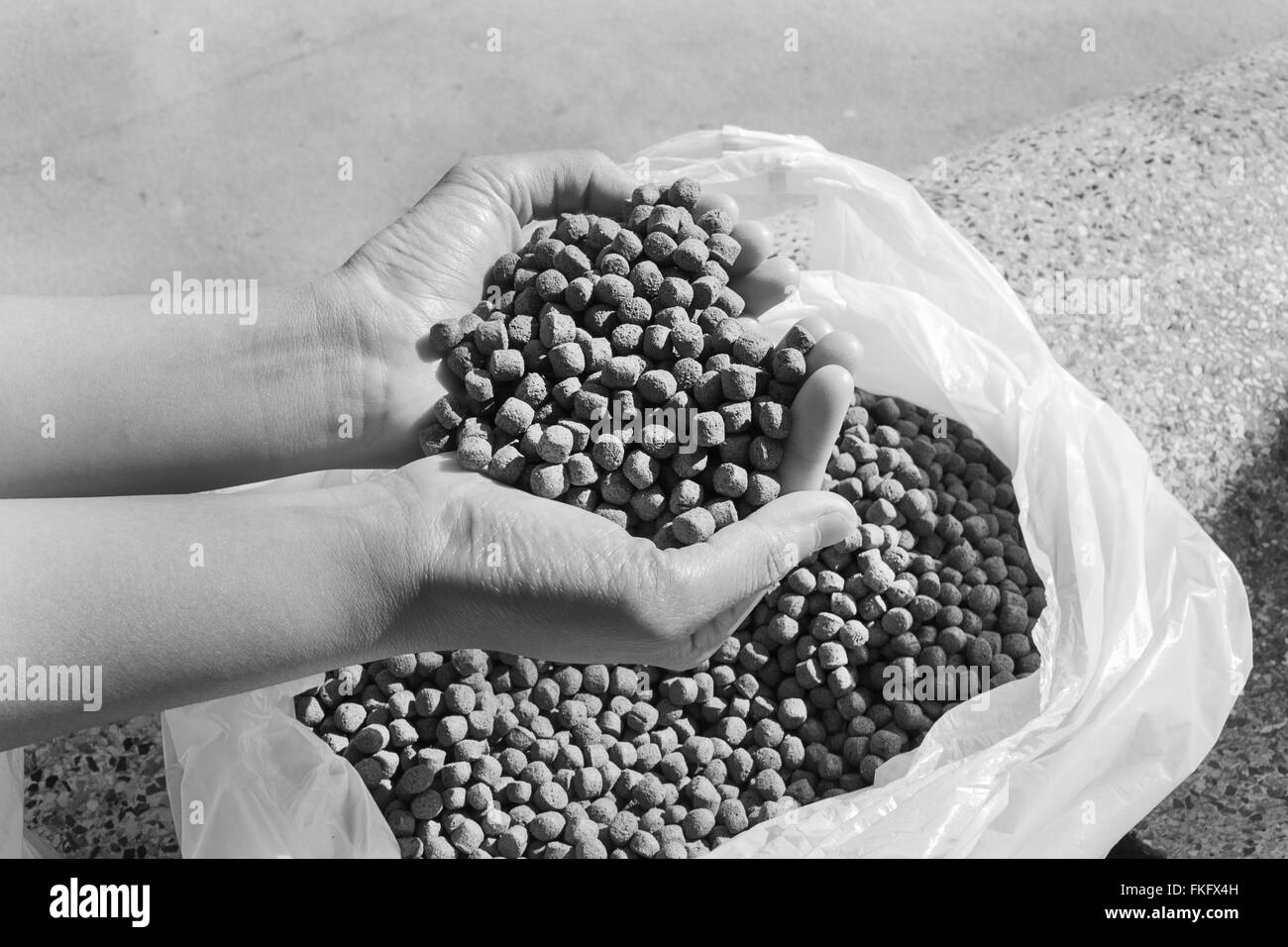 Aliments pour poissons Banque de photographies et d’images à haute ...