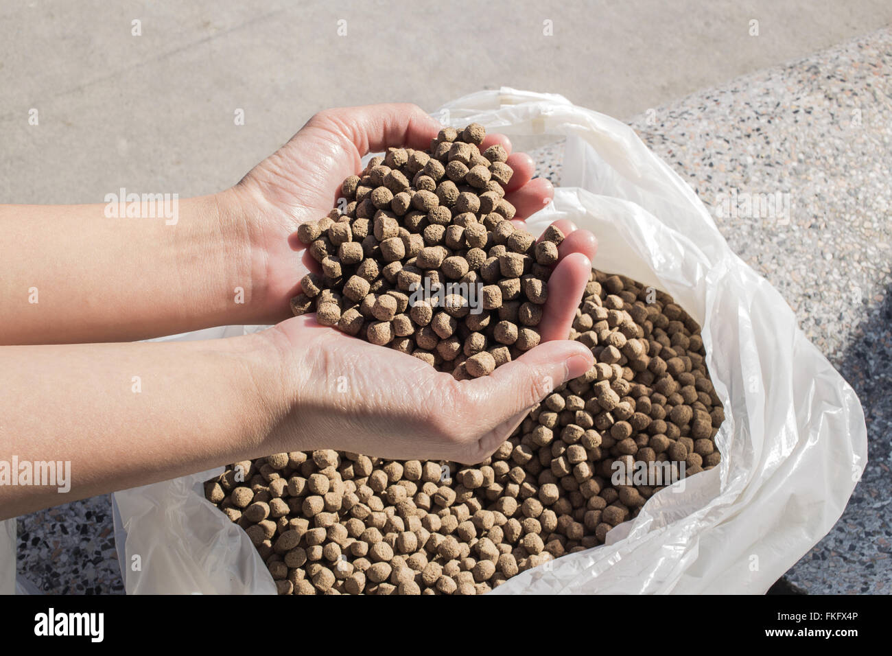 Aliments pour poissons Banque de photographies et d’images à haute ...
