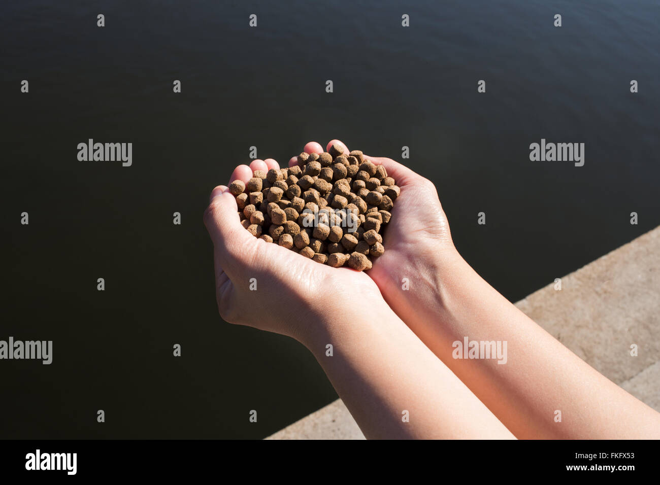 Aliments pour poissons Banque de photographies et d’images à haute ...