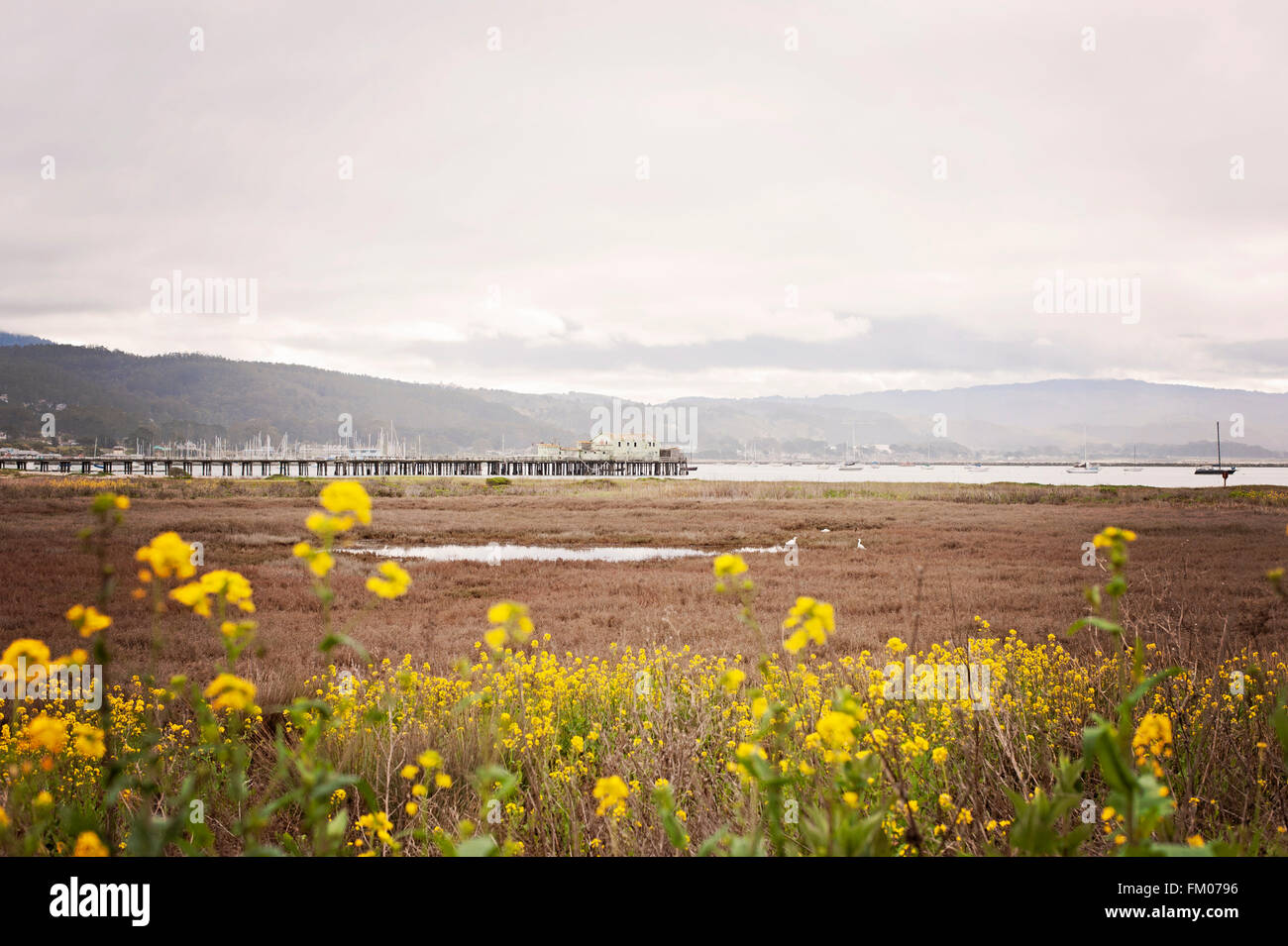 Marais californien Banque de photographies et d’images à haute résolution - Alamy