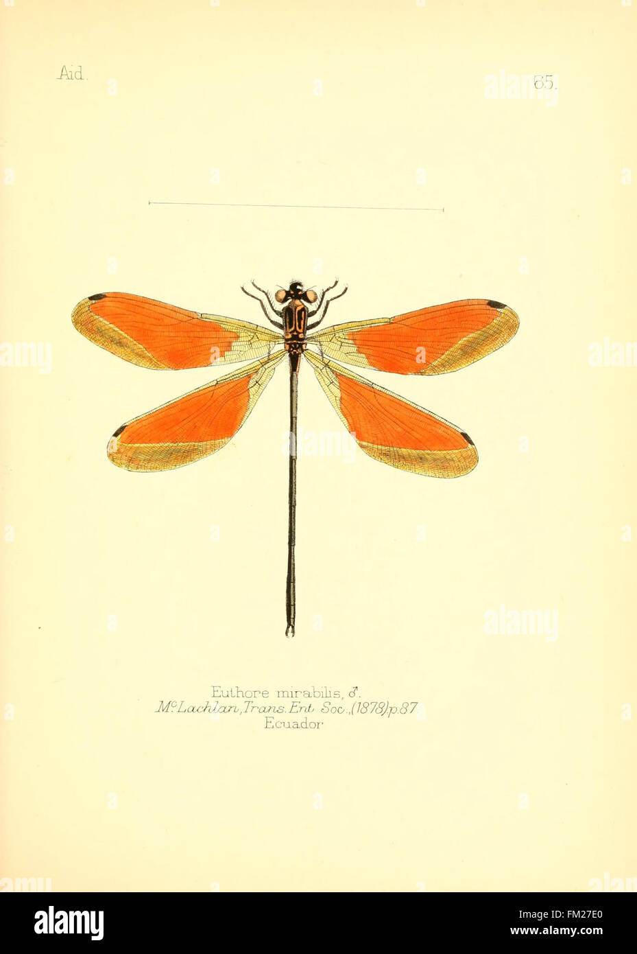 Ancienne plaque d'identification Banque de photographies et d’images à ...