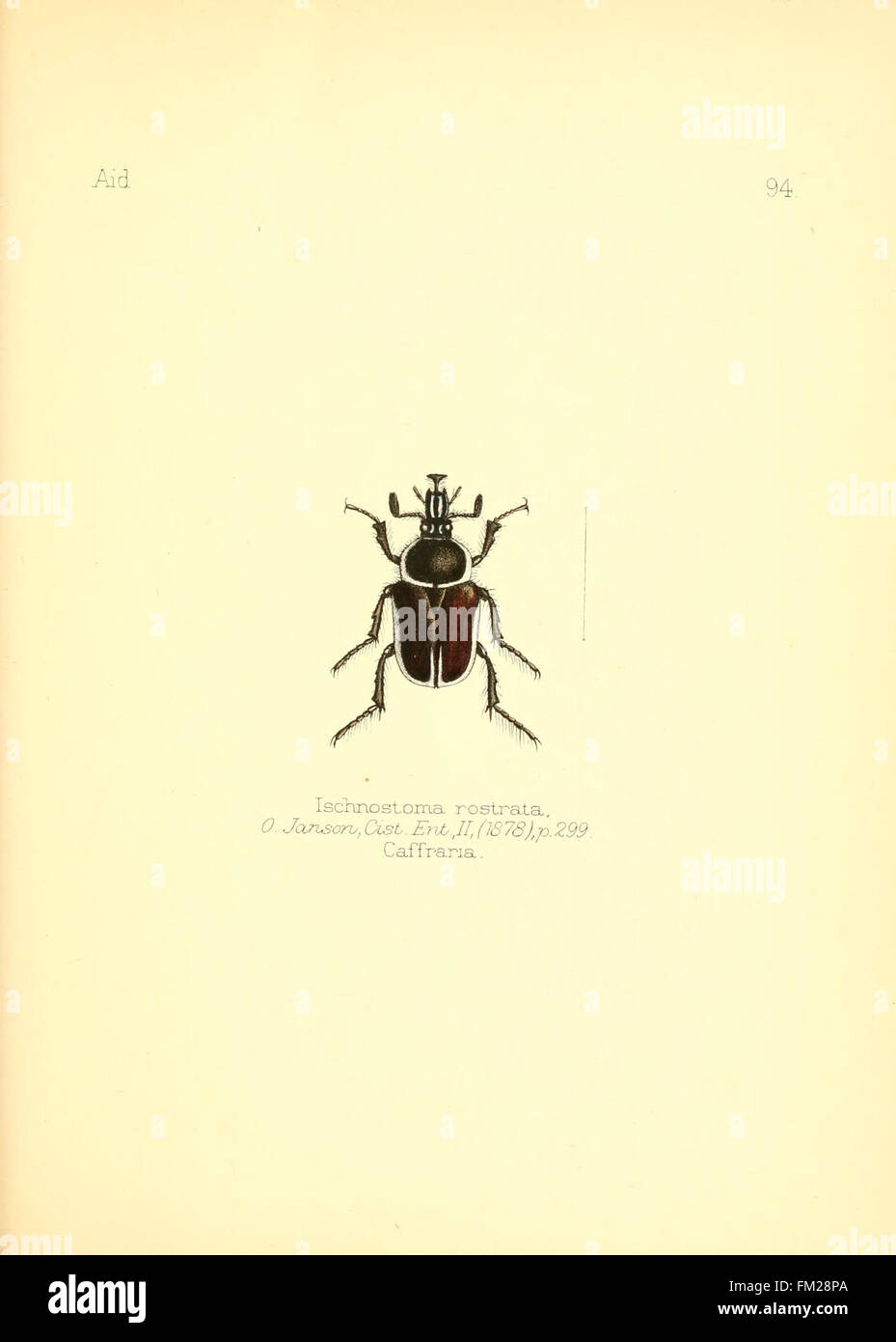 Ancienne plaque d'identification Banque de photographies et d’images à ...