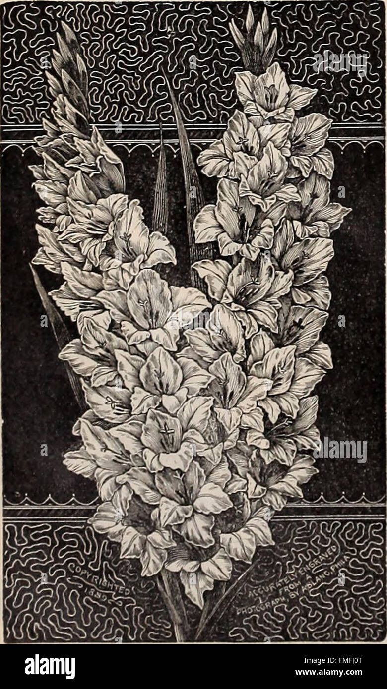 Tourner une nouvelle feuille Banque de photographies et d’images à ...