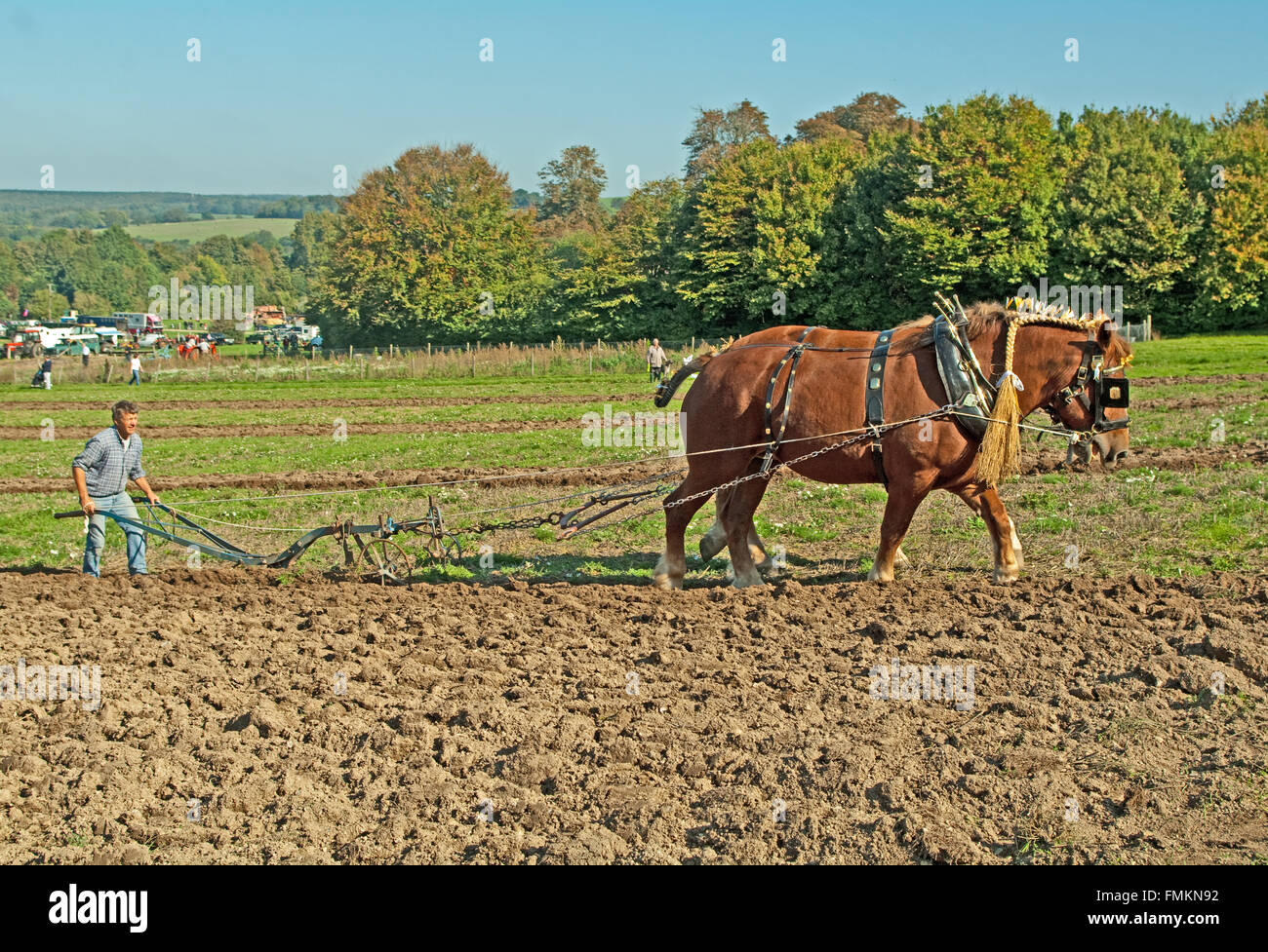 Labour de cheval traditionnel Banque de photographies et d’images à ...