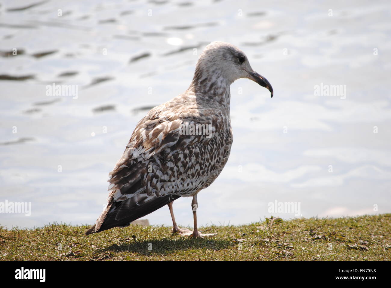 Enfin seul Banque de photographies et d’images à haute résolution - Alamy