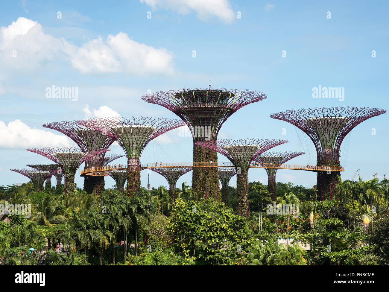Supertrees gardens bay Banque de photographies et d’images à haute ...