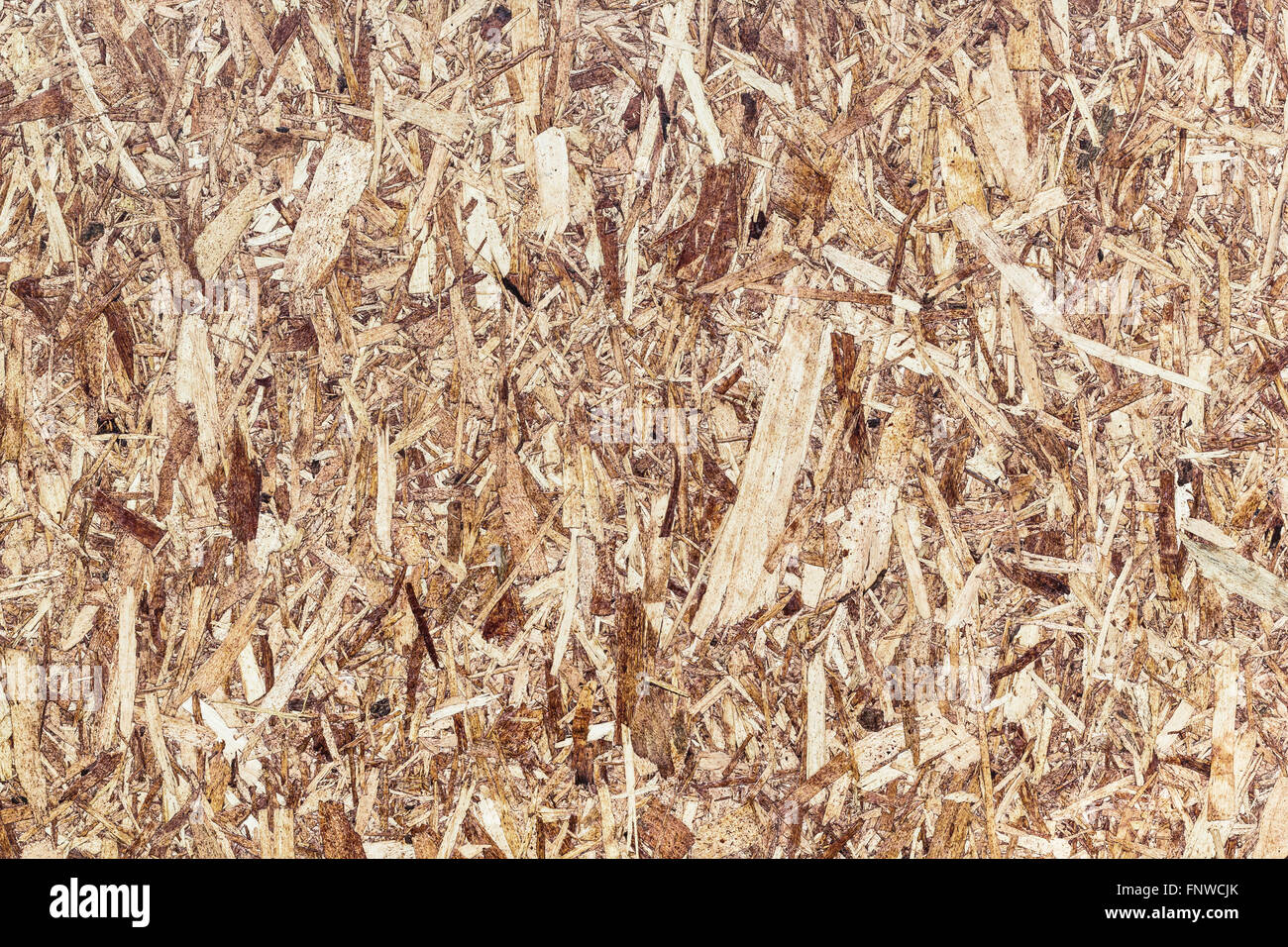 Plywood texture Banque de photographies et d’images à haute résolution ...