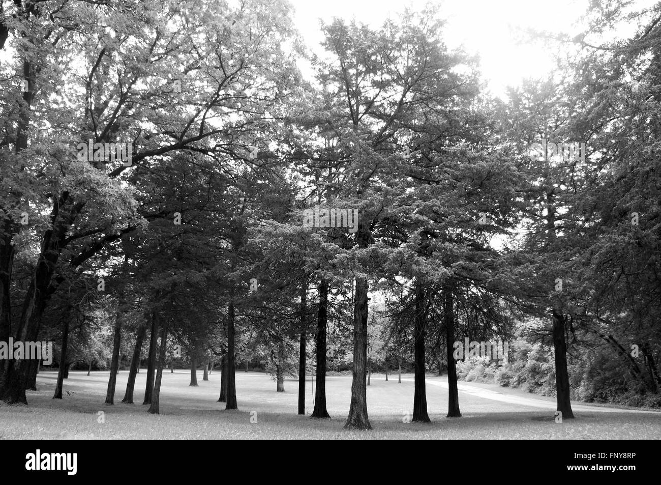 Paysages noir et blanc Banque de photographies et d’images à haute ...
