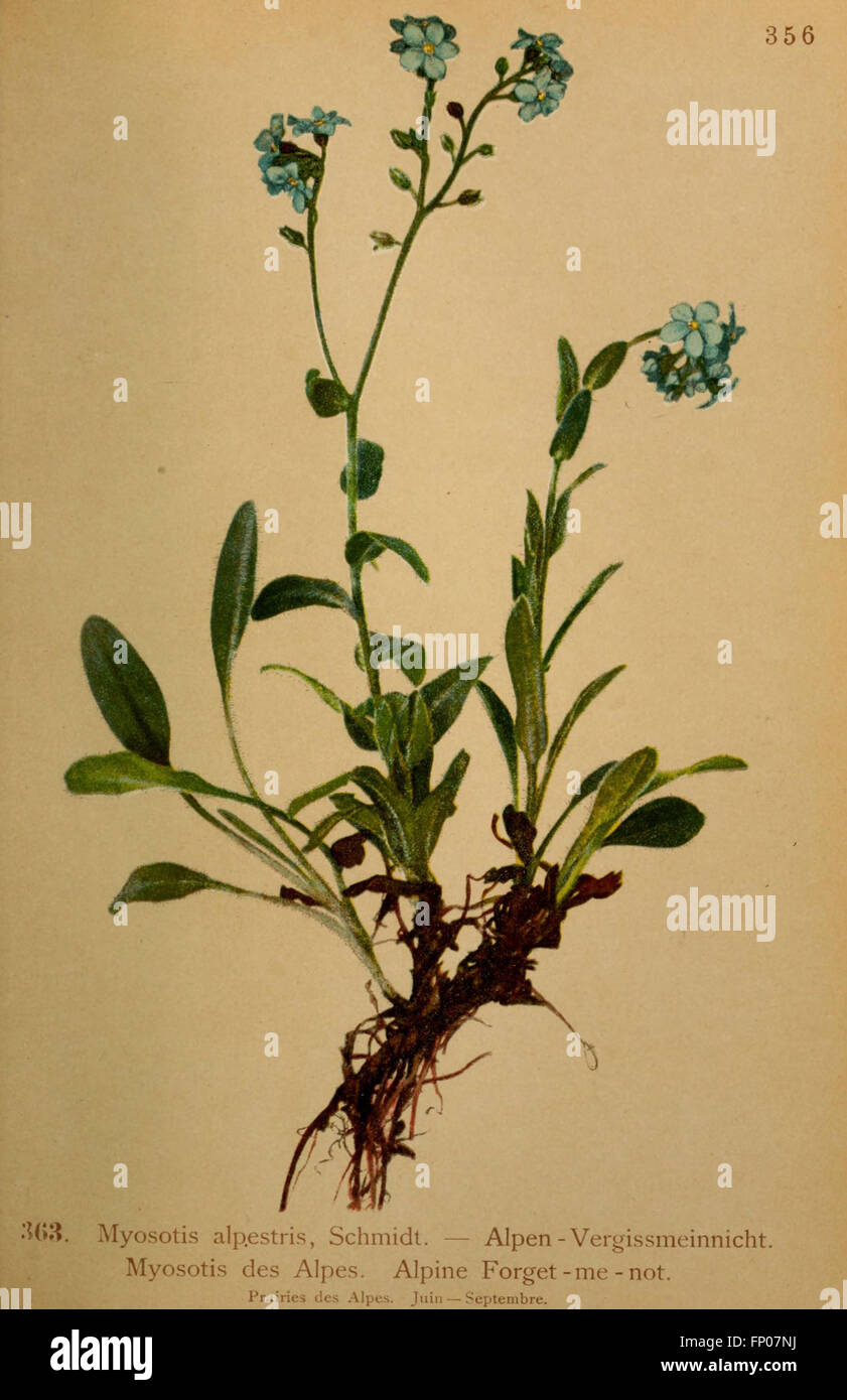 'Atlas de la Flora Alpine' présente une représentation visuelle ...