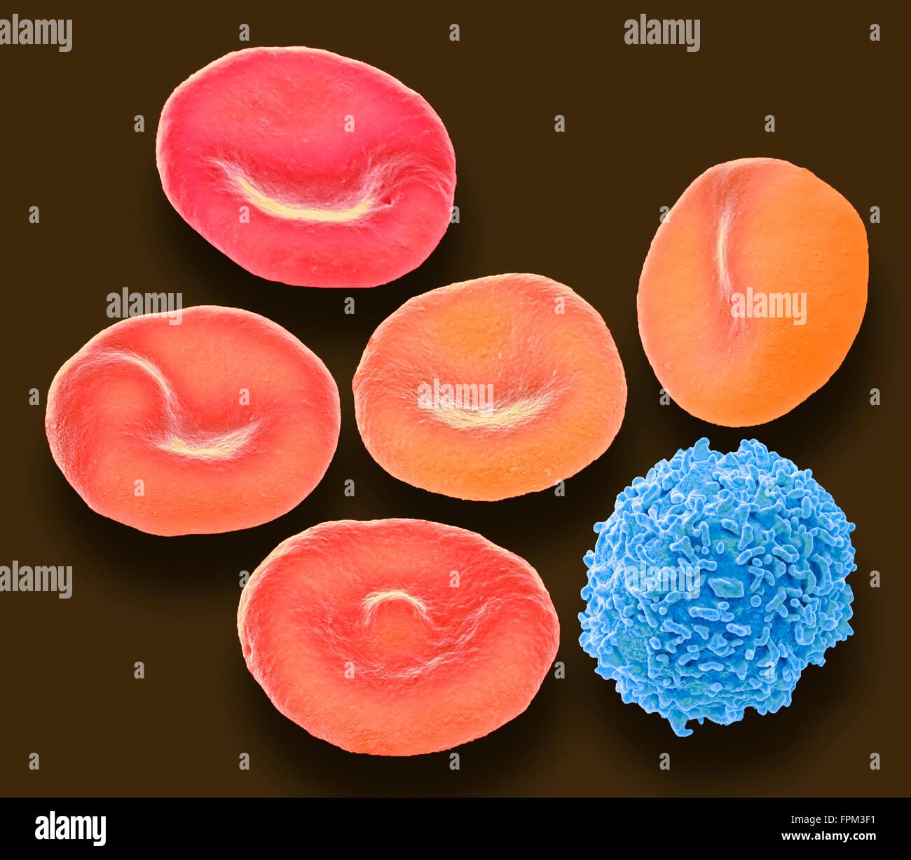 Balayage électronique Banque de photographies et d’images à haute ...