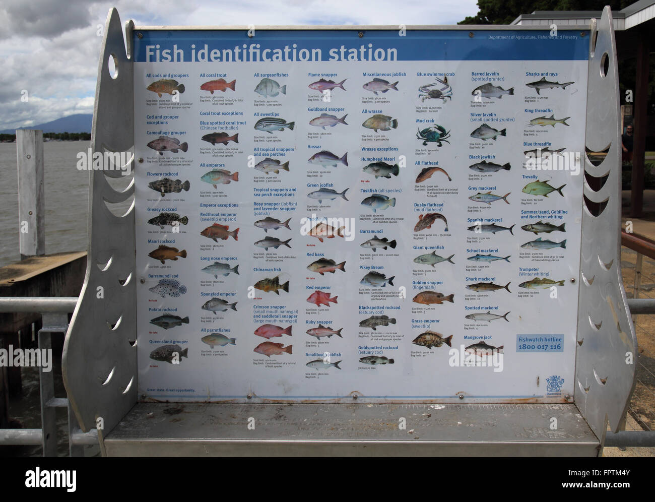 Fish identification chart Banque de photographies et d’images à haute ...