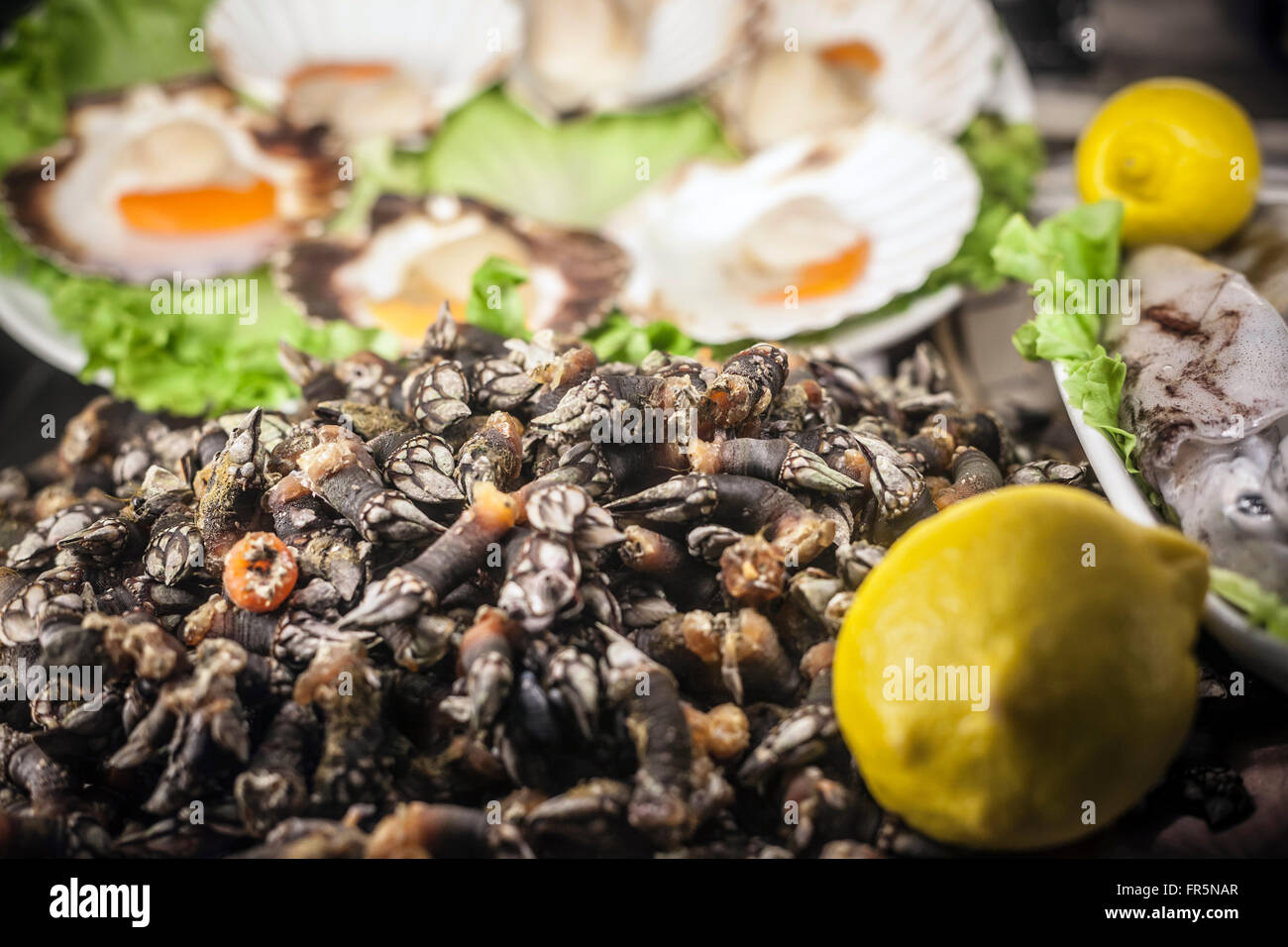 Percebes, galicia Banque de photographies et d’images à haute ...