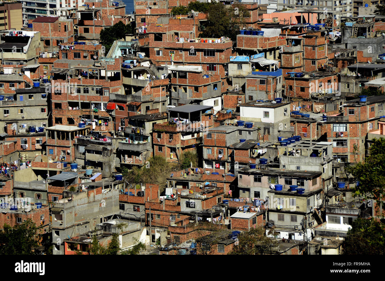 Favela do cantagalo pavao pavaozinho Banque de photographies et d ...