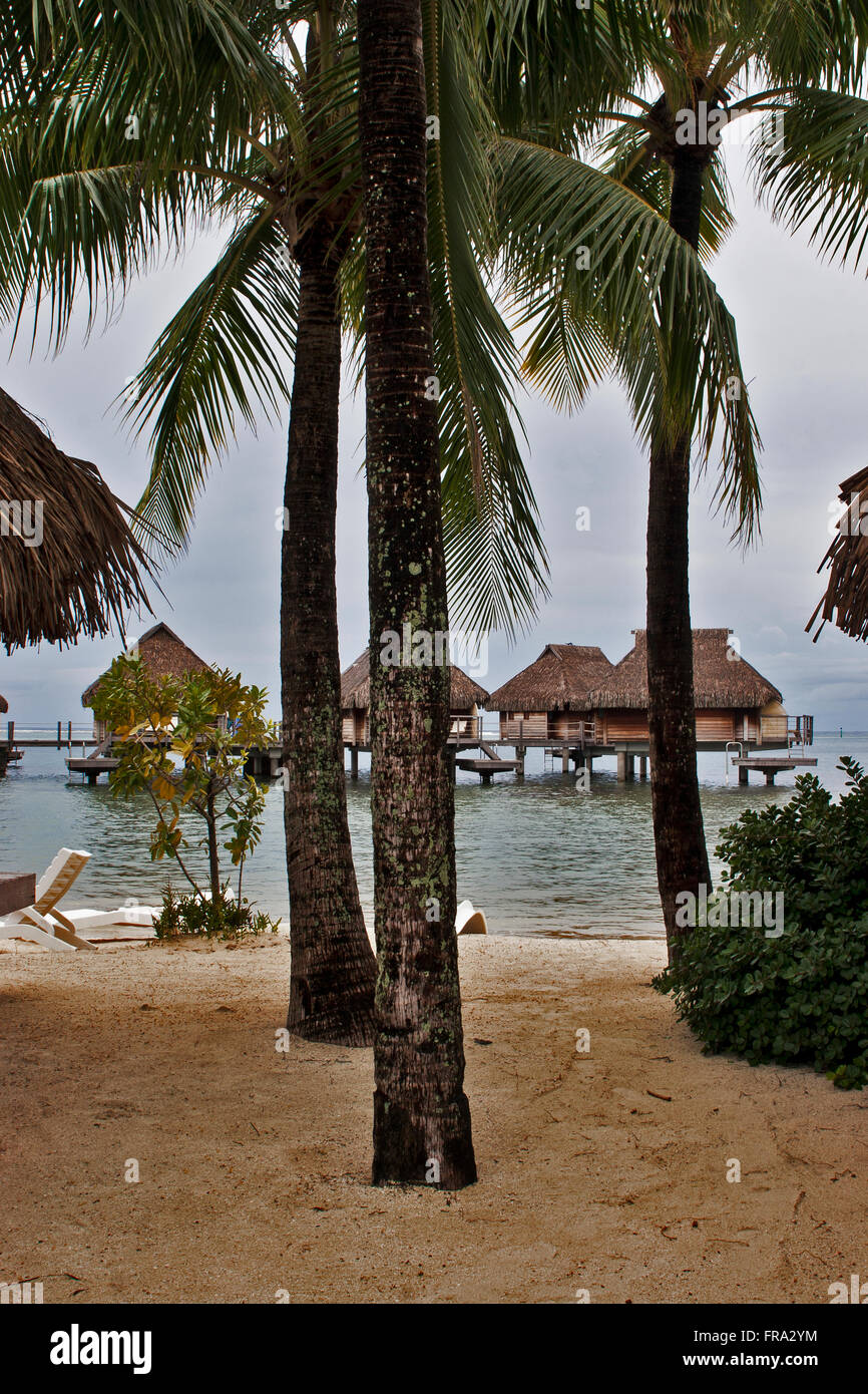 Île de Moorea, Polynésie française. Piscine et bungalow sur pilotis ...