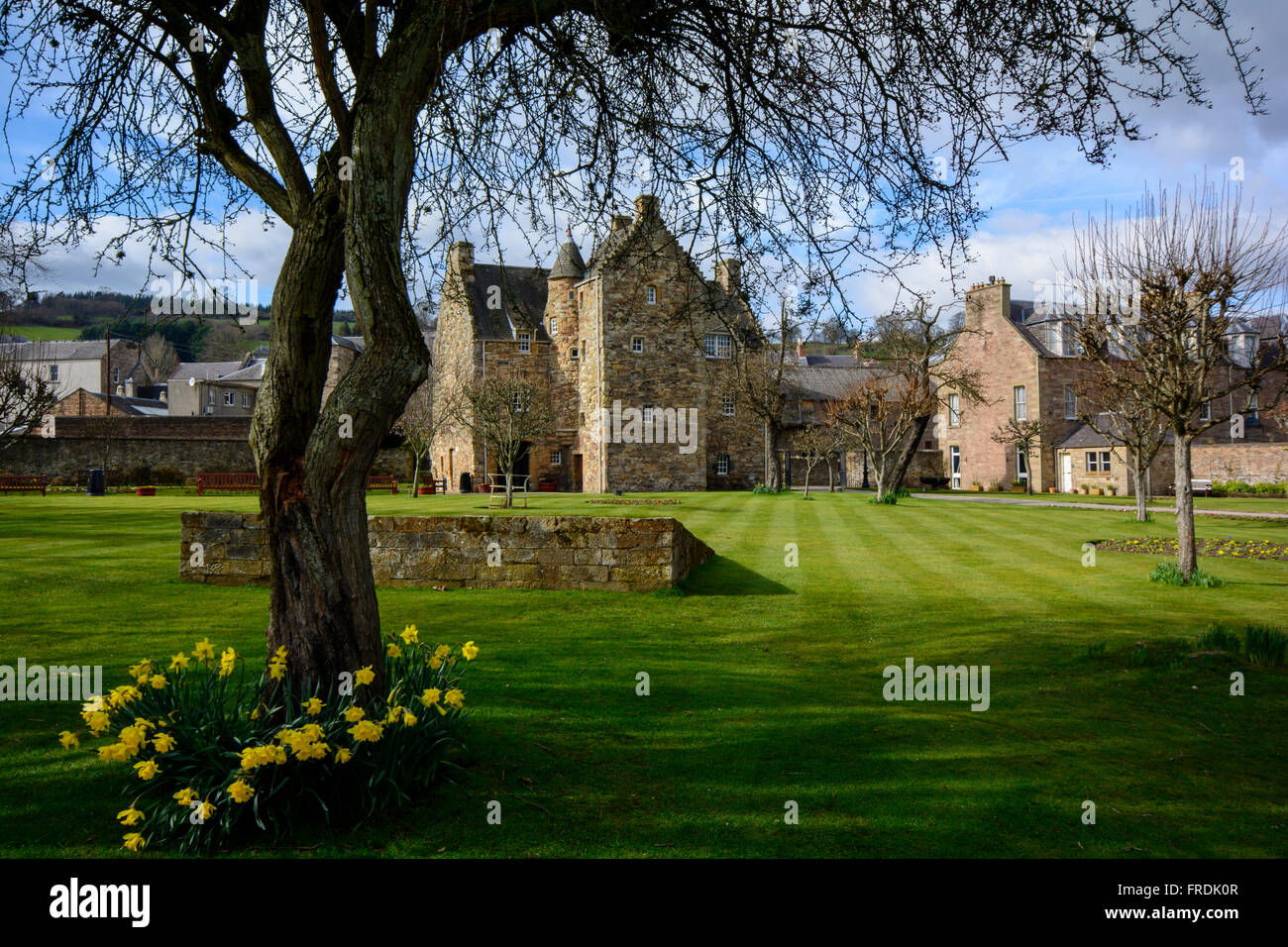 Queen mary gardens Banque de photographies et d’images à haute résolution - Alamy