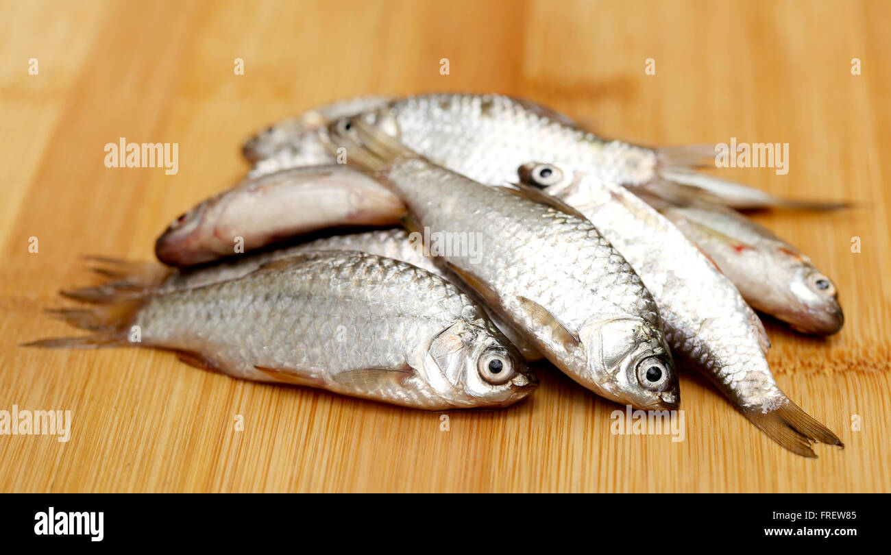 Puntius chola Banque de photographies et d’images à haute résolution ...