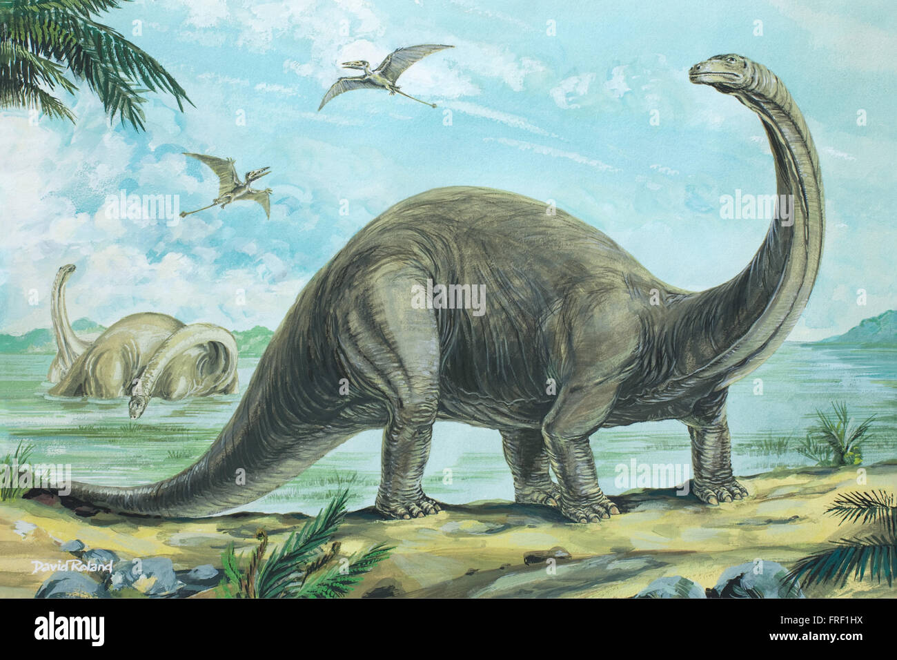 Prehistoric animals Banque de photographies et d’images à haute ...