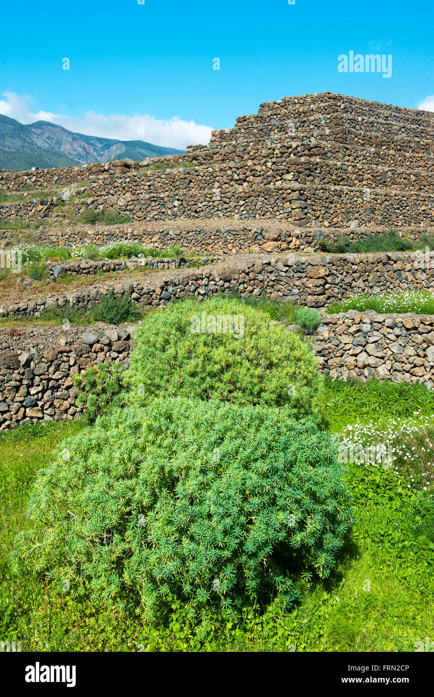 Pyramides de gueimar Banque de photographies et d’images à haute ...