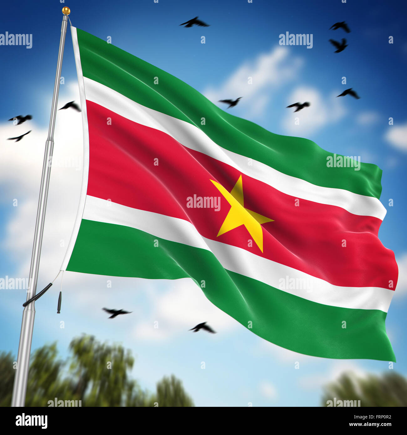 Drapeau du suriname Banque de photographies et d’images à haute ...