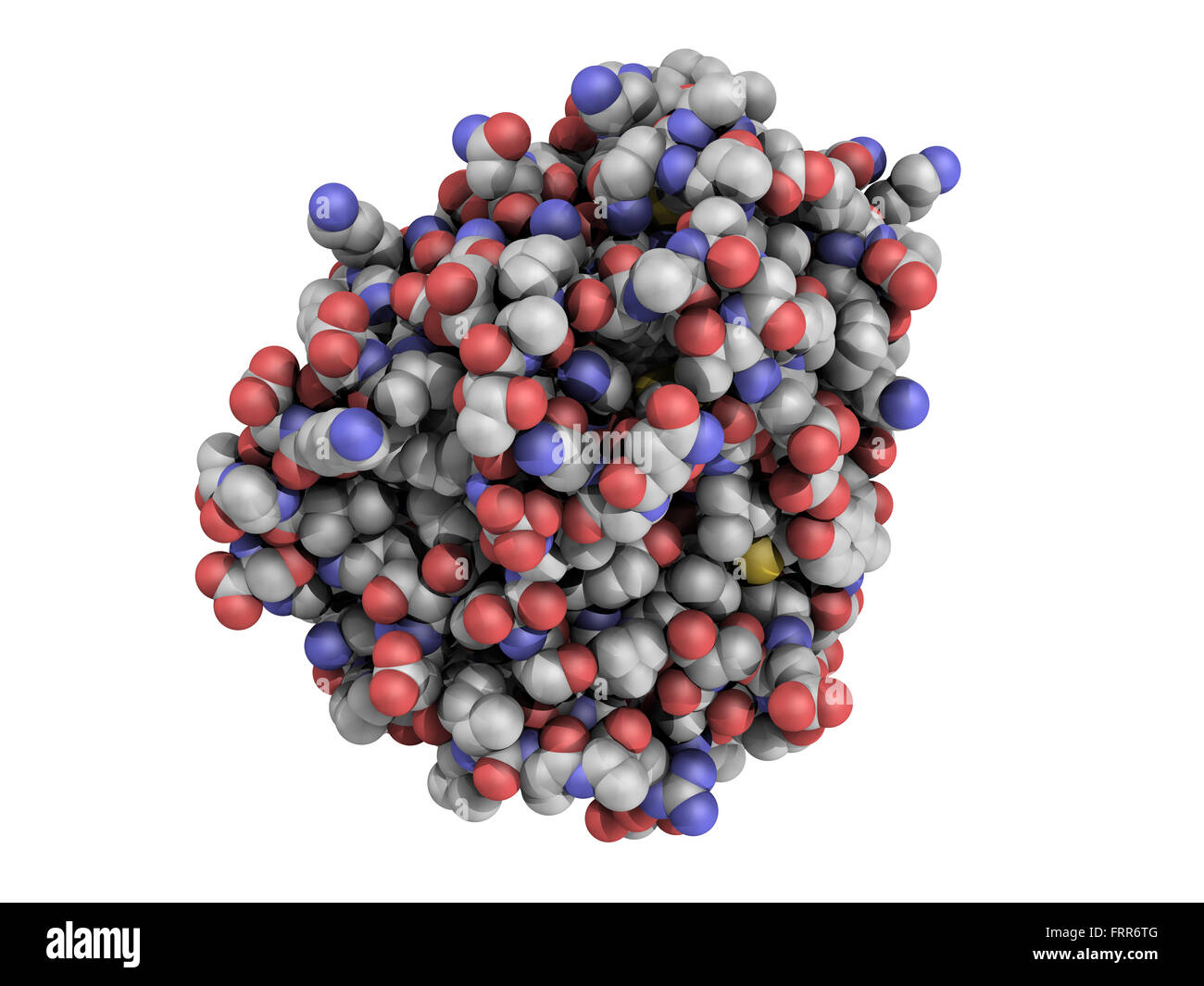 Molécule d'enzyme digestive trypsine (humaine), la structure chimique ...