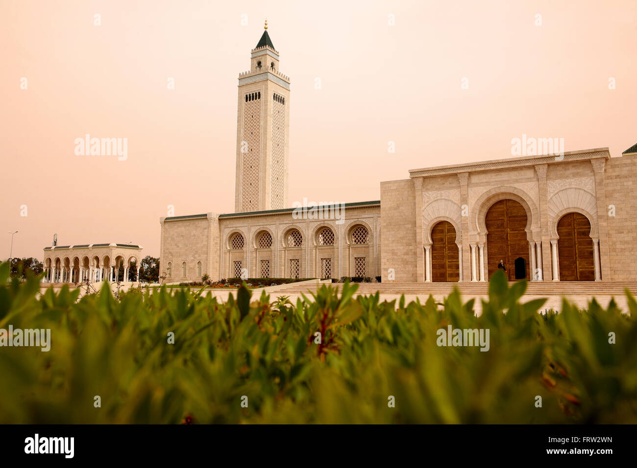 Carthage mosque tunisia Banque de photographies et d’images à haute ...