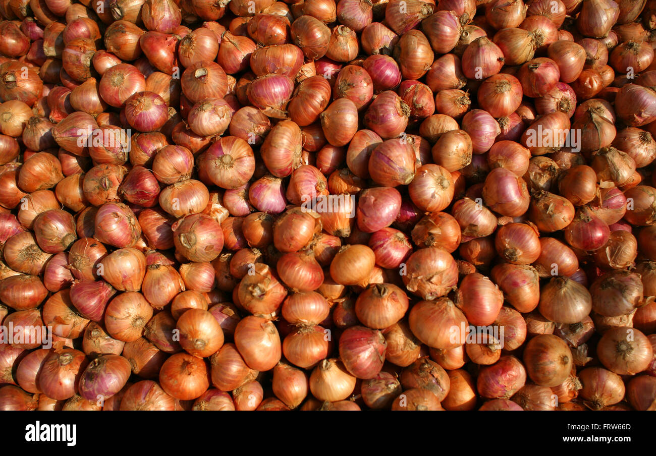 Onion stack Banque de photographies et d’images à haute résolution - Alamy
