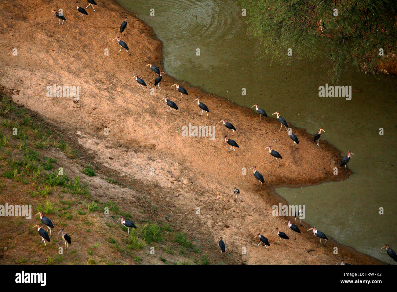 Zakouma national park Banque de photographies et d’images à haute ...