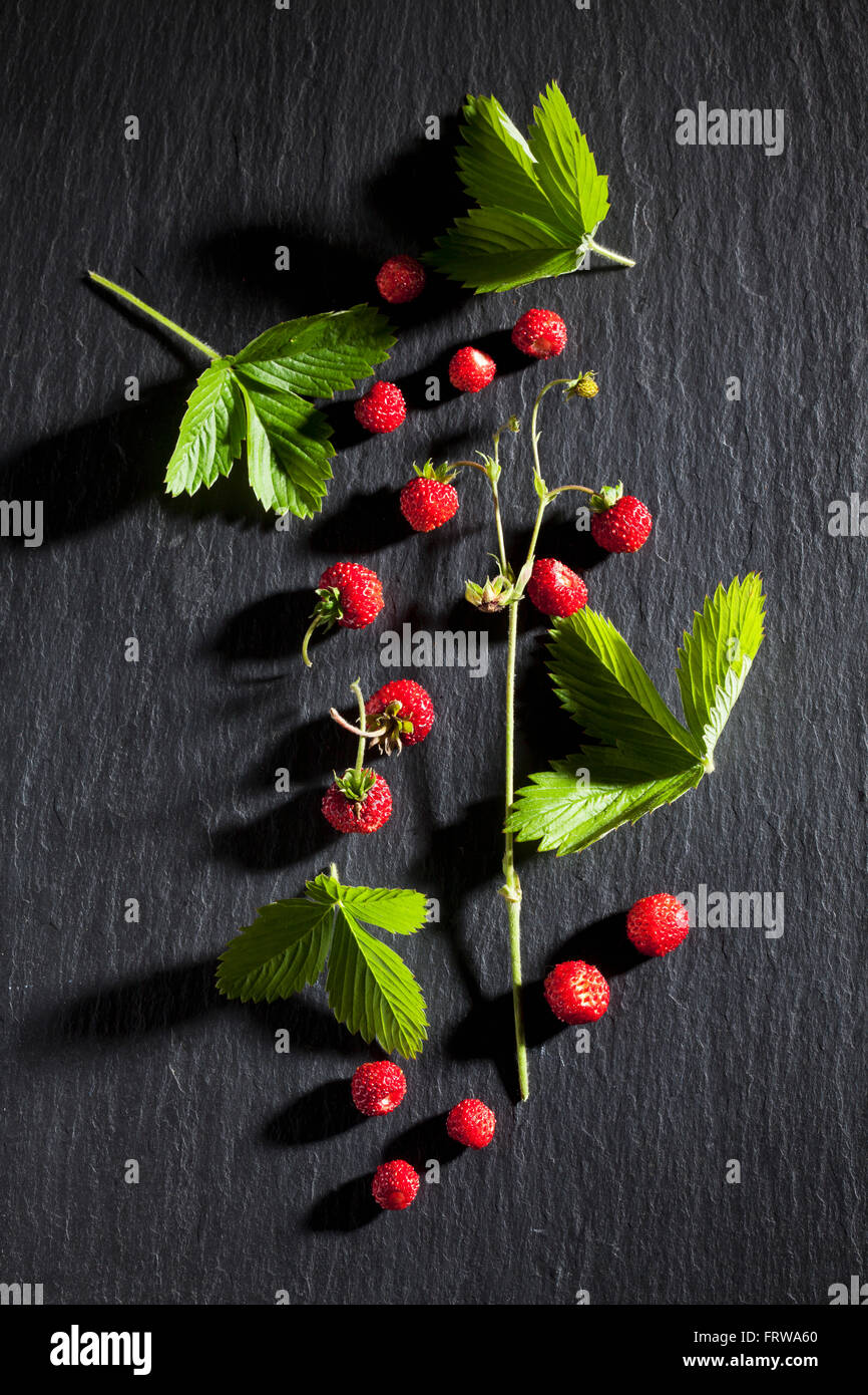 Nature morte aux fraises des bois Banque de photographies et d’images à ...